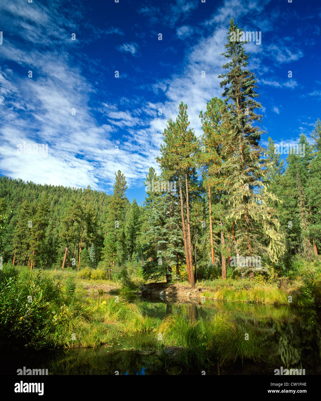 Lakes of eastern arizona hi-res stock photography and images - Alamy