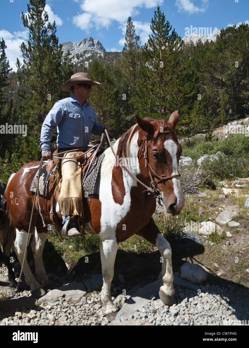 Cowboy riding horse pack horse hi-res stock photography and images - Alamy