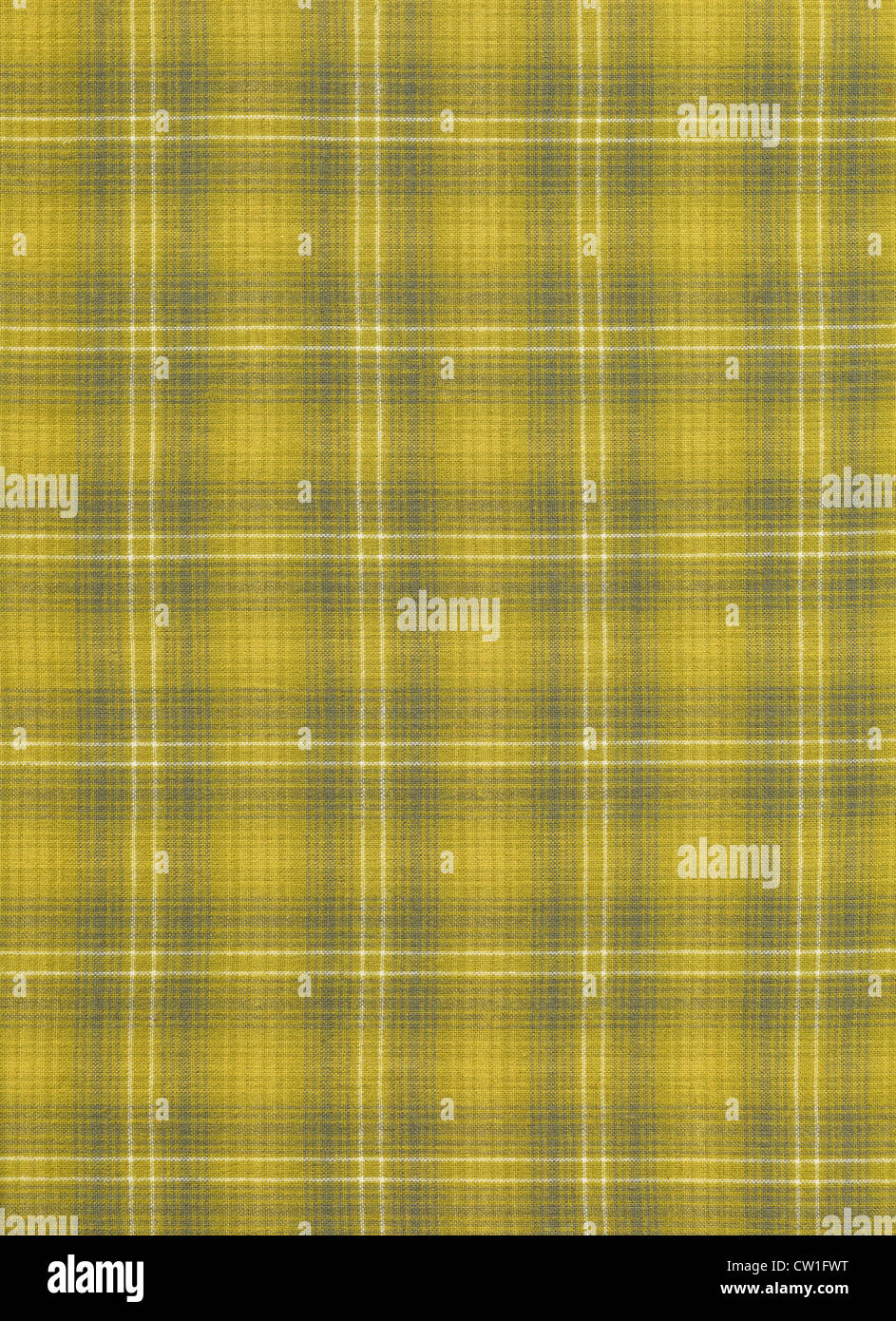 Green plaid backdrop hi-res stock photography and images - Alamy