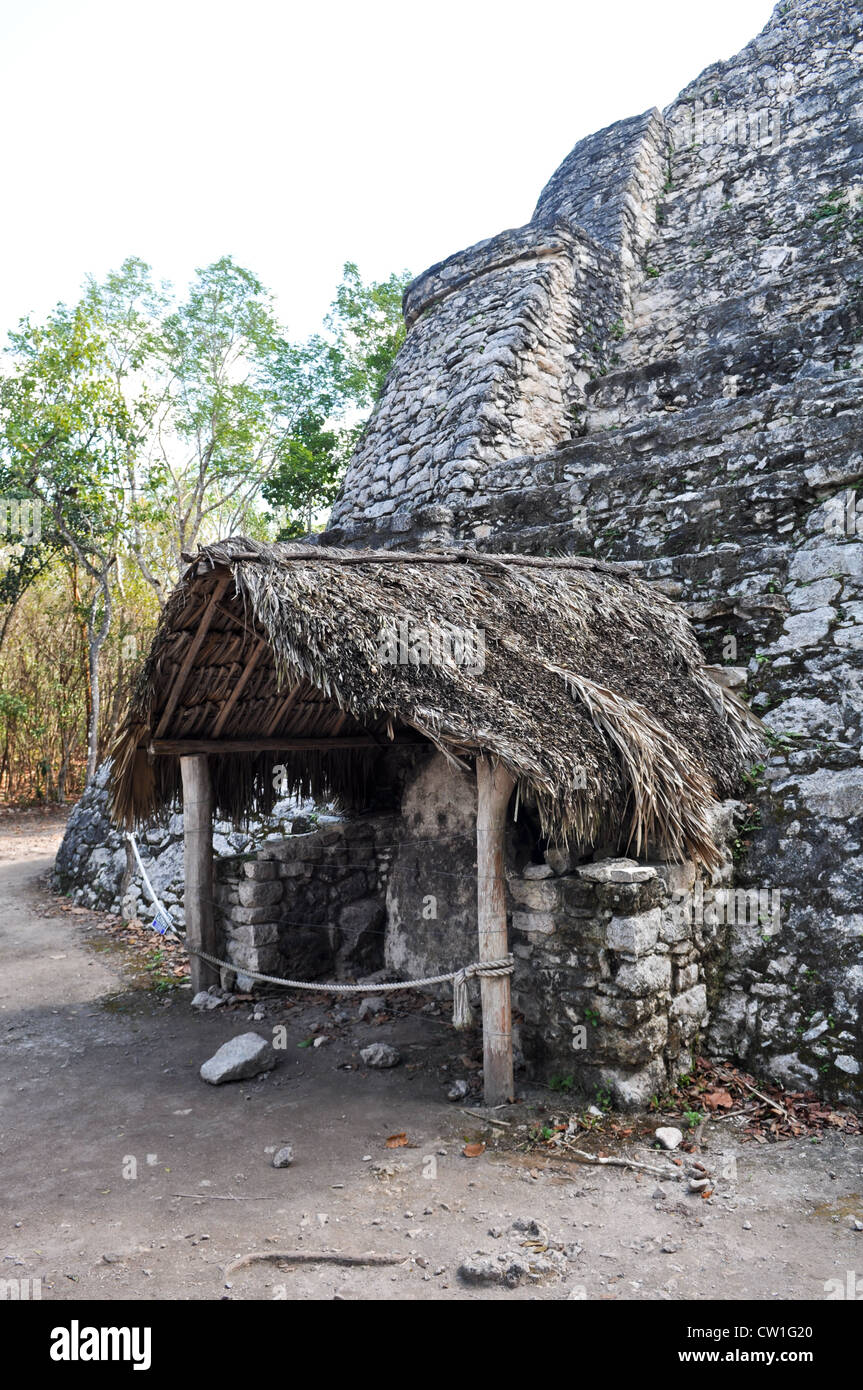 Coba Mayan Ruins in Mexico Stock Photo - Alamy