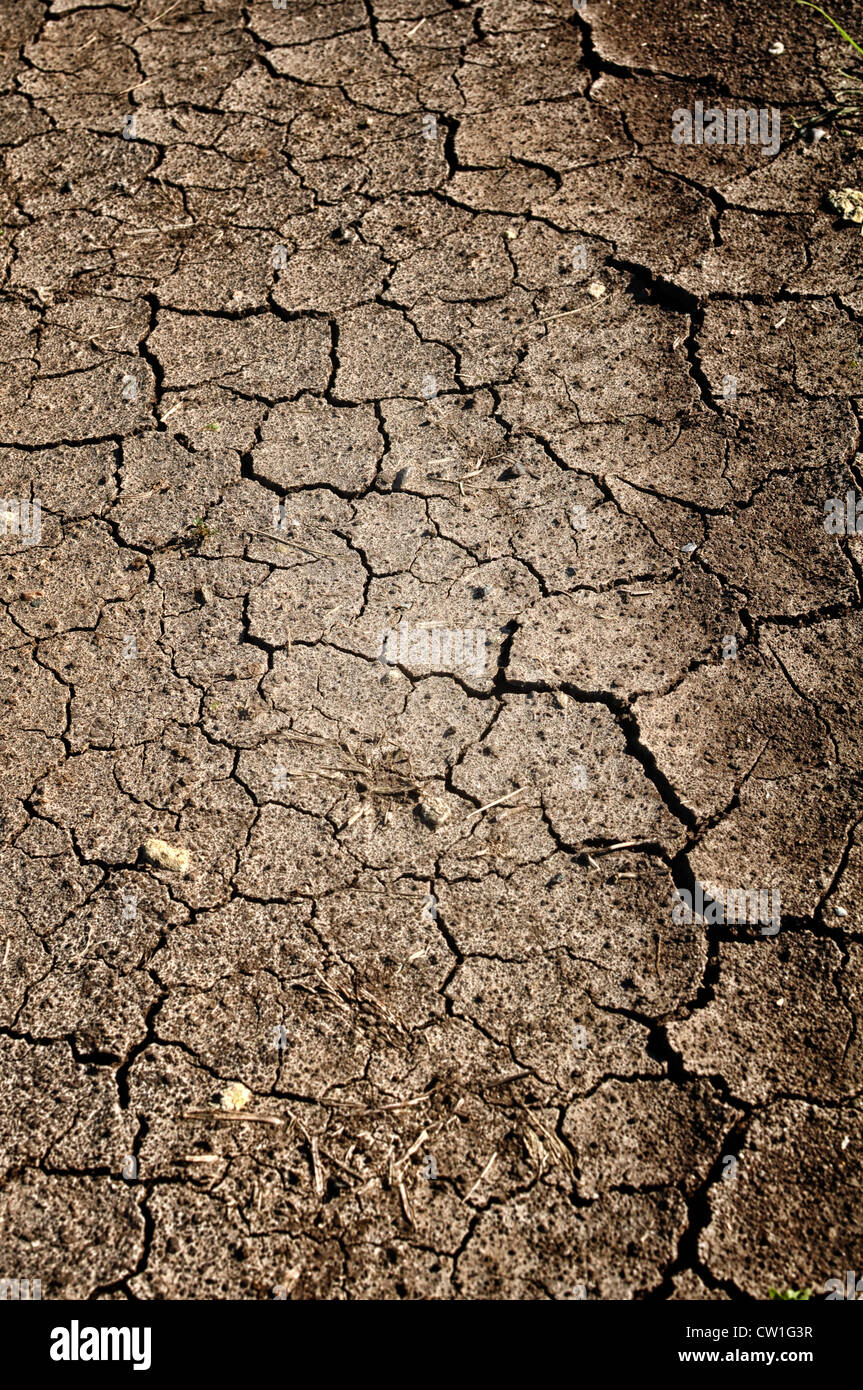Cracked Dirt Background Stock Photo - Alamy