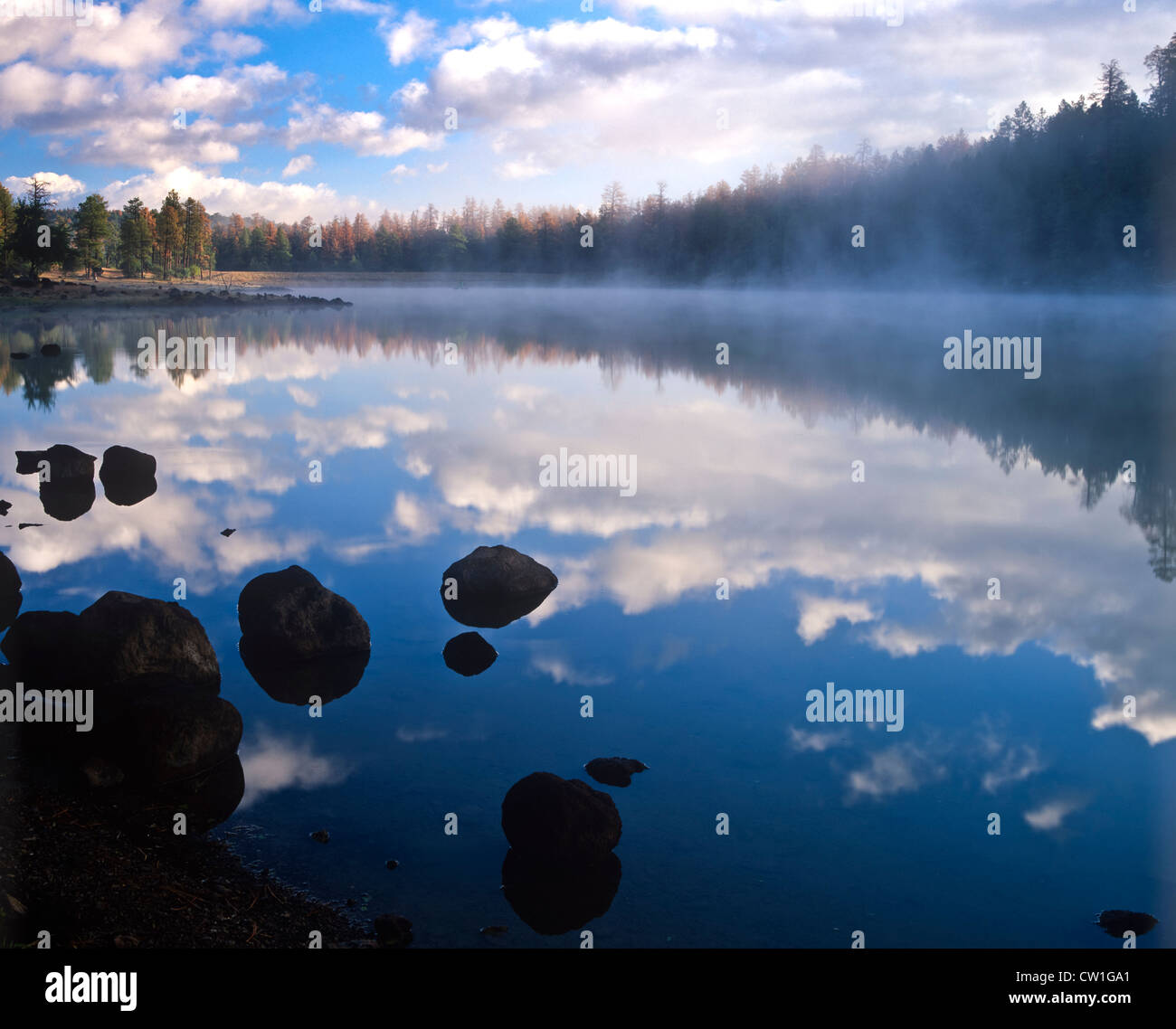 Point of Pines Lake is not what you'd expect in an area typically ...