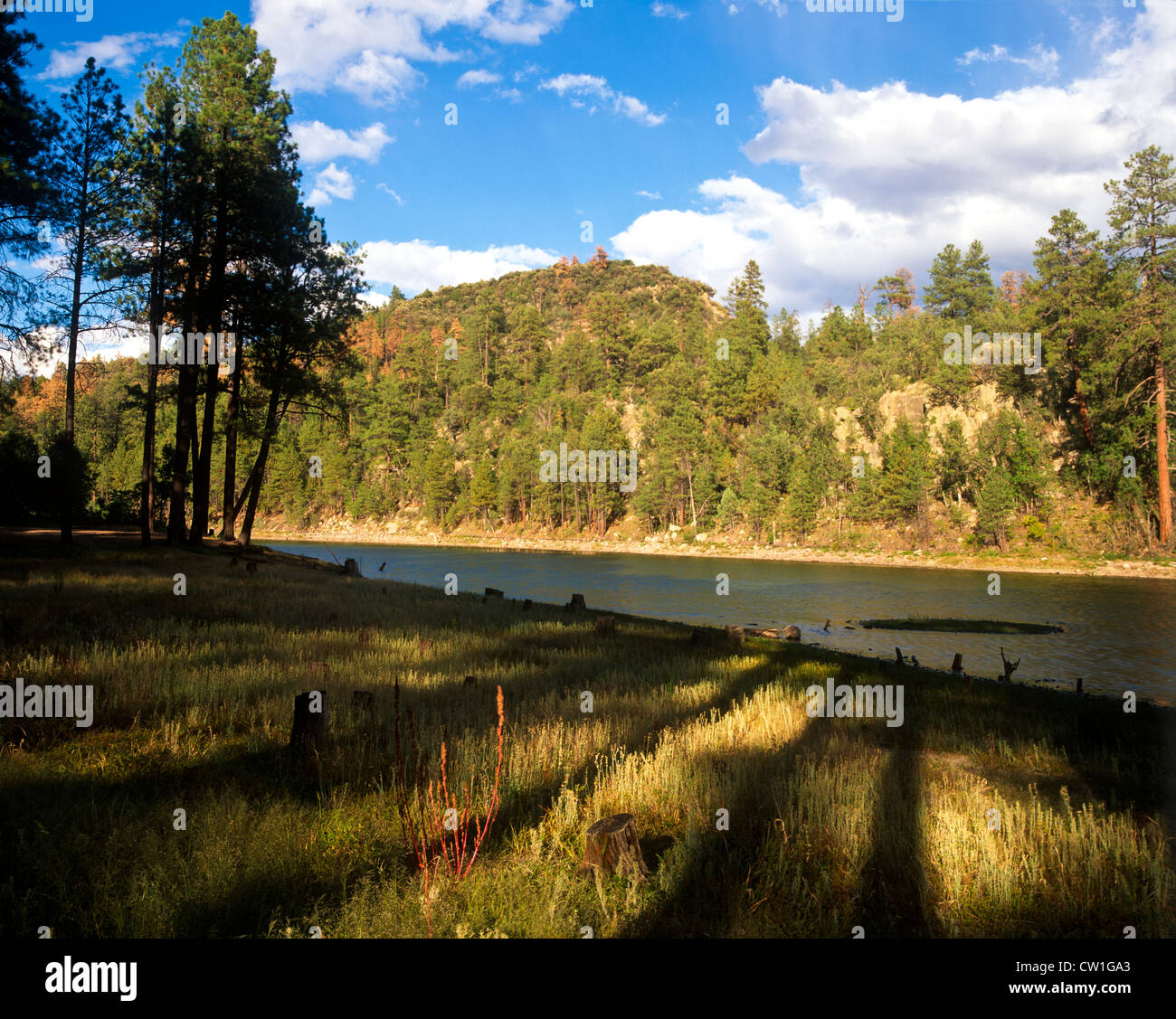 Point of Pines Lake is not what you'd expect in an area typically ...