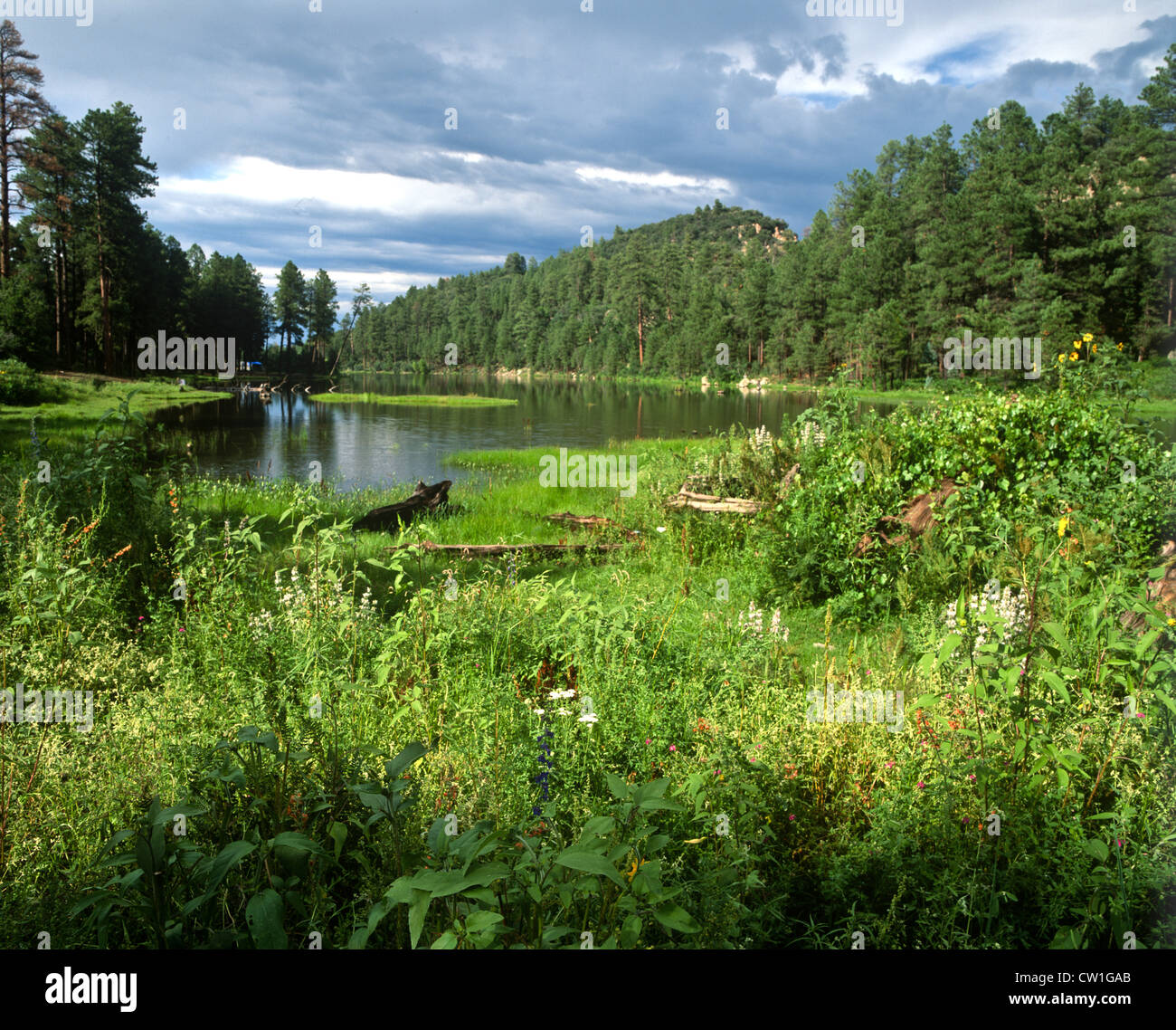 Apache reservation sign hi-res stock photography and images - Alamy