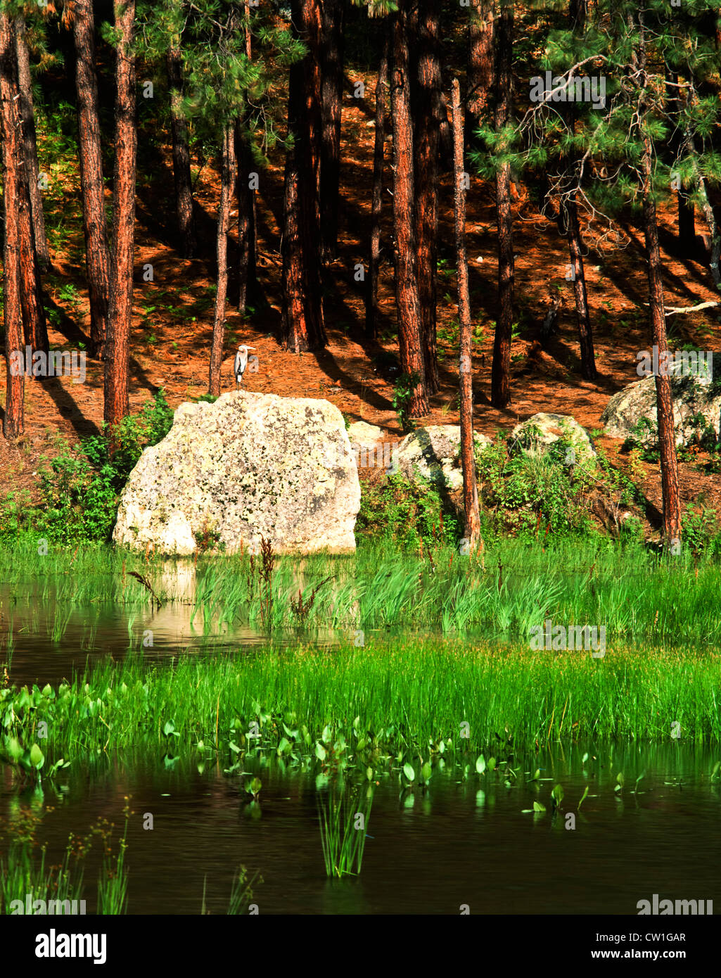 Point of Pines Lake is not what you'd expect in an area typically ...