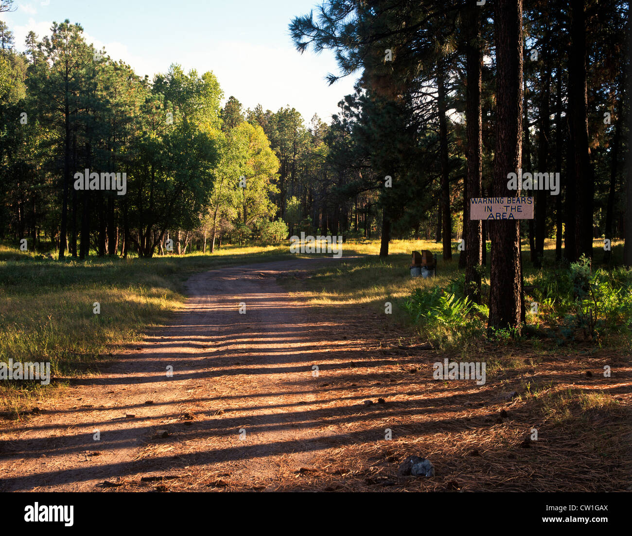 Point of Pines Lake is not what you'd expect in an area typically ...