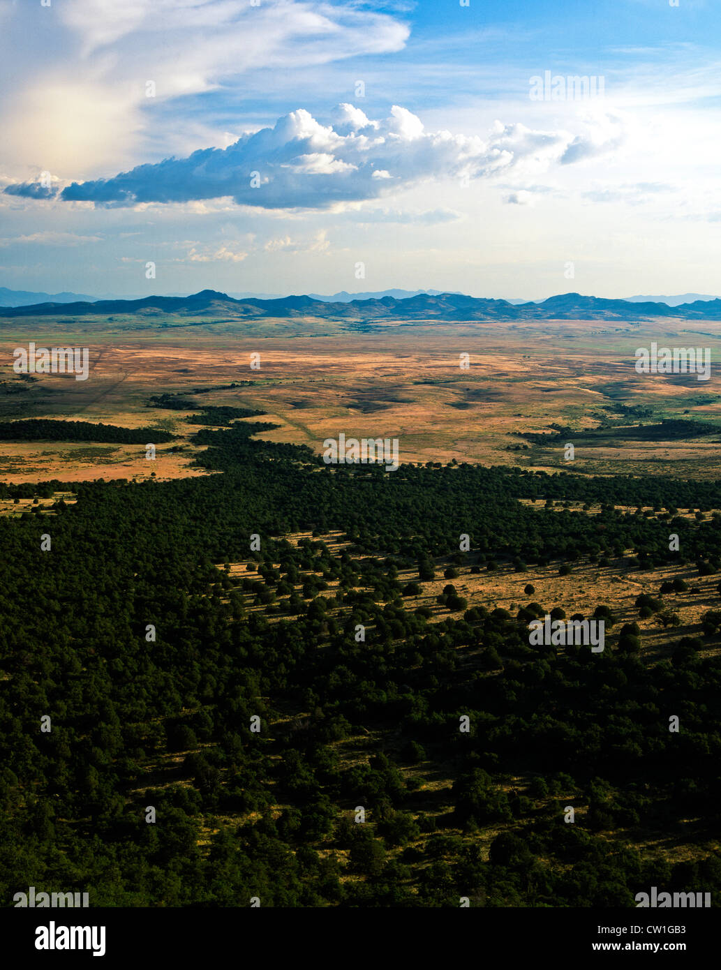 Point of Pines Lake is not what you'd expect in an area typically ...