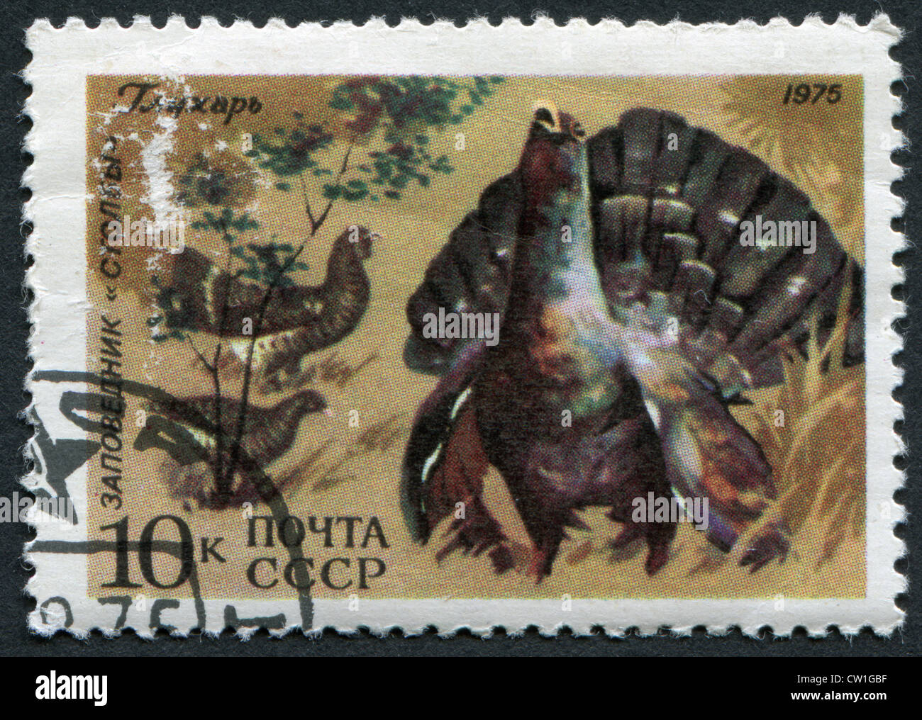USSR-CIRCA 1975: A stamp printed in the USSR, shows a bird Tetrao ...
