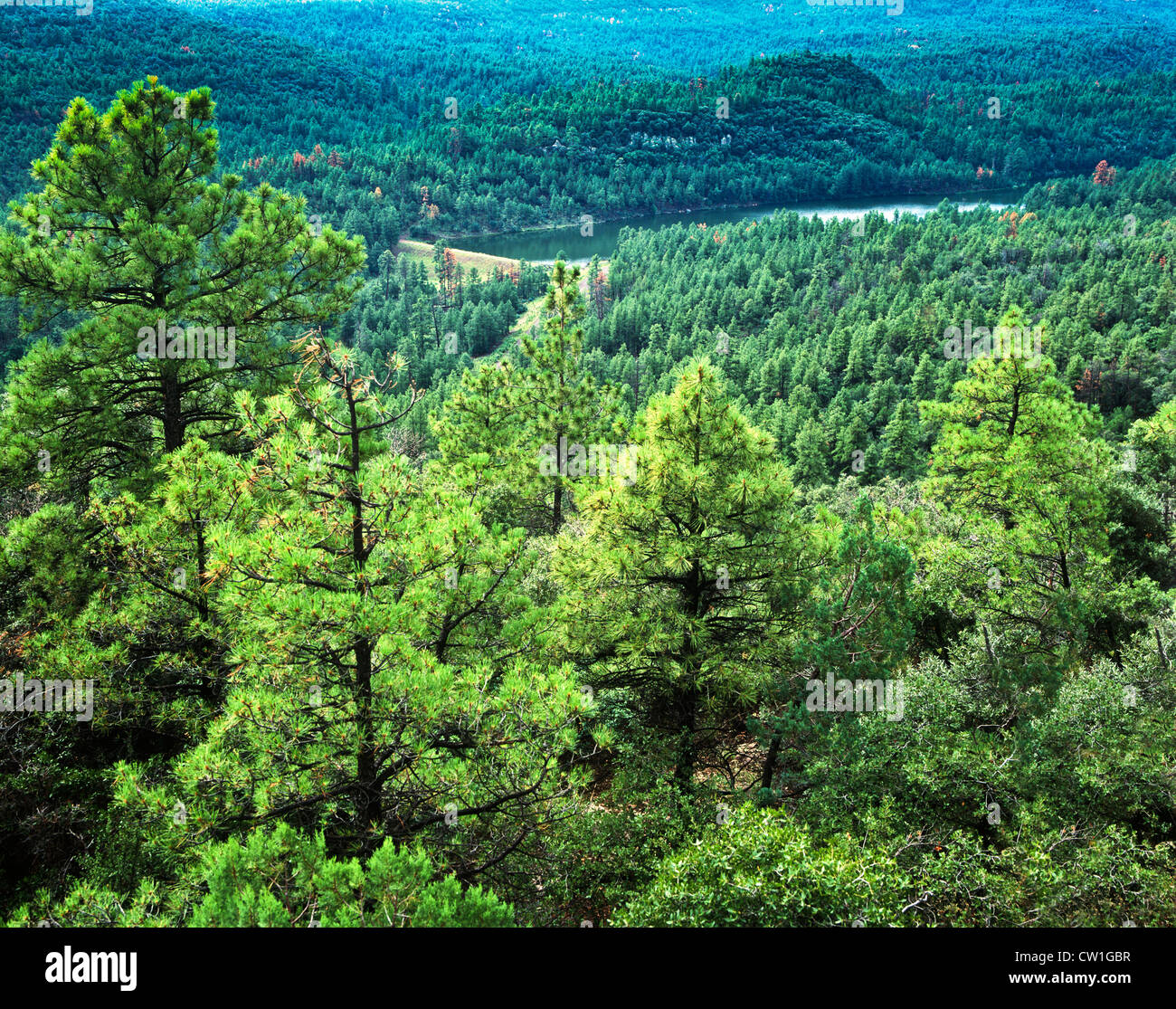 Point of Pines Lake is not what you'd expect in an area typically ...
