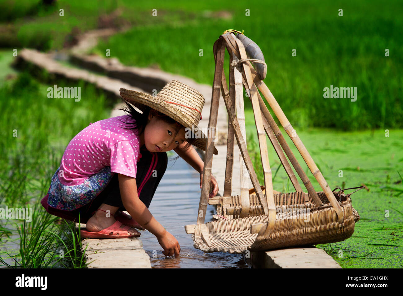 little chinese girl in a rice field Stock Photo - Alamy