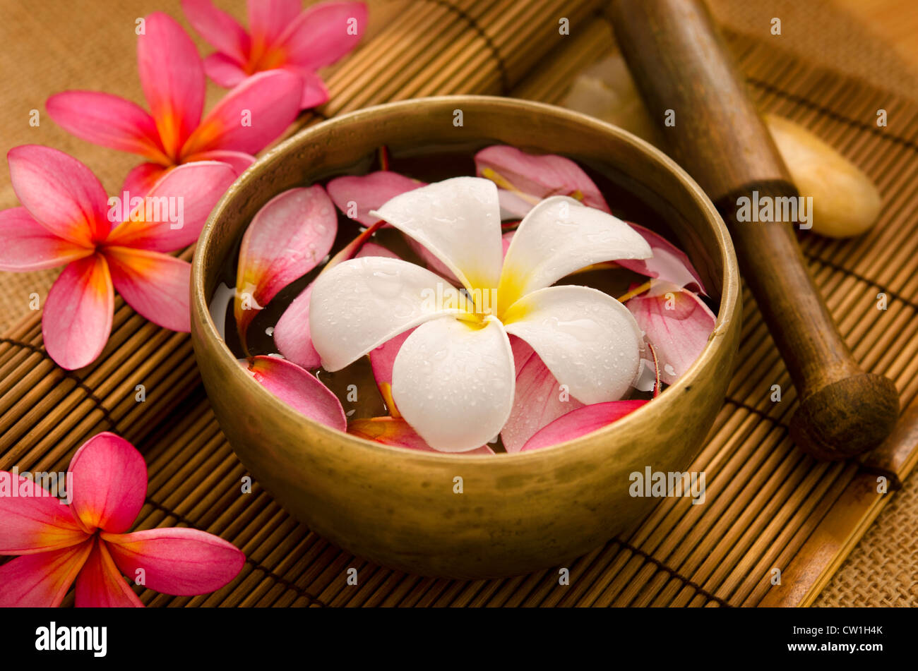Tropical spa with Frangipani flowers on water. Low lighting, suitable ...