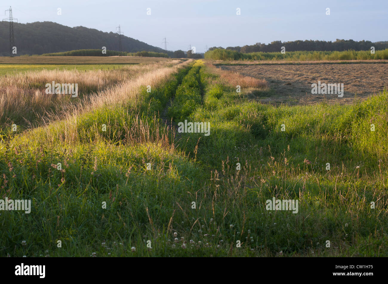 Straight ditch on bog earth Stock Photo - Alamy