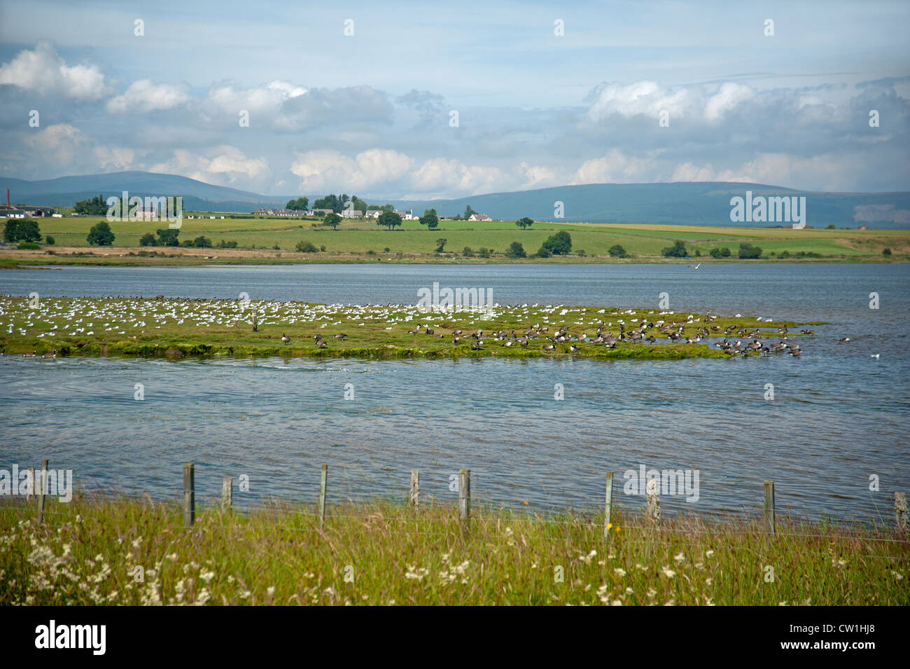 Udale bay hi-res stock photography and images - Alamy