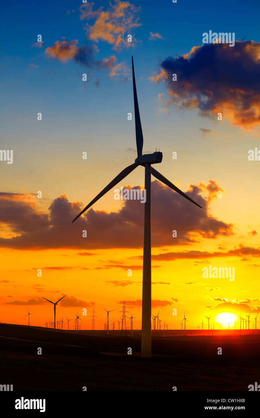 Wind turbines farm at sunset in Dobrogea region of Romania Stock Photo ...