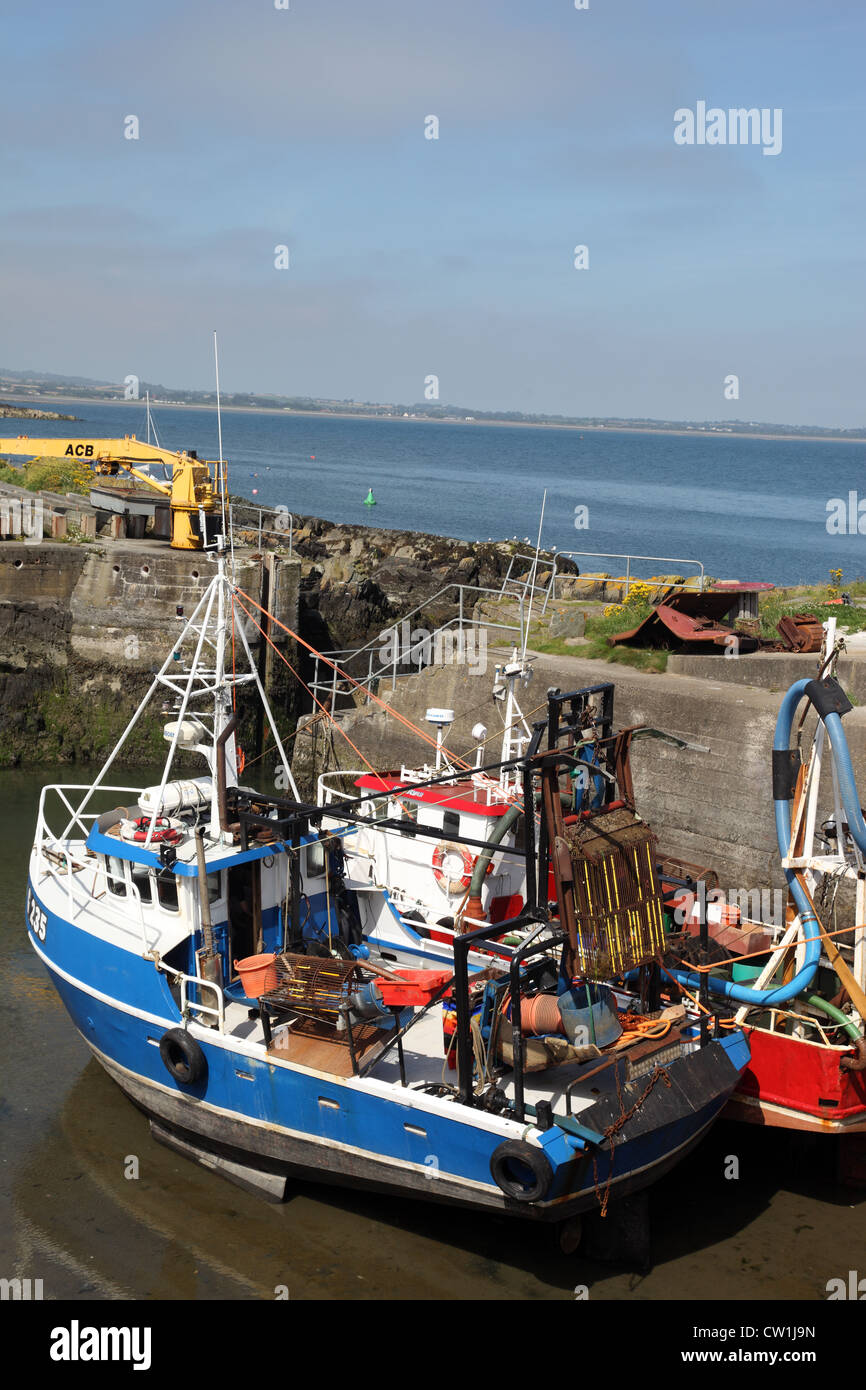 Fishing boats at low tide, Port Oriel, Clogherhead, Co. Louth, Ireland ...