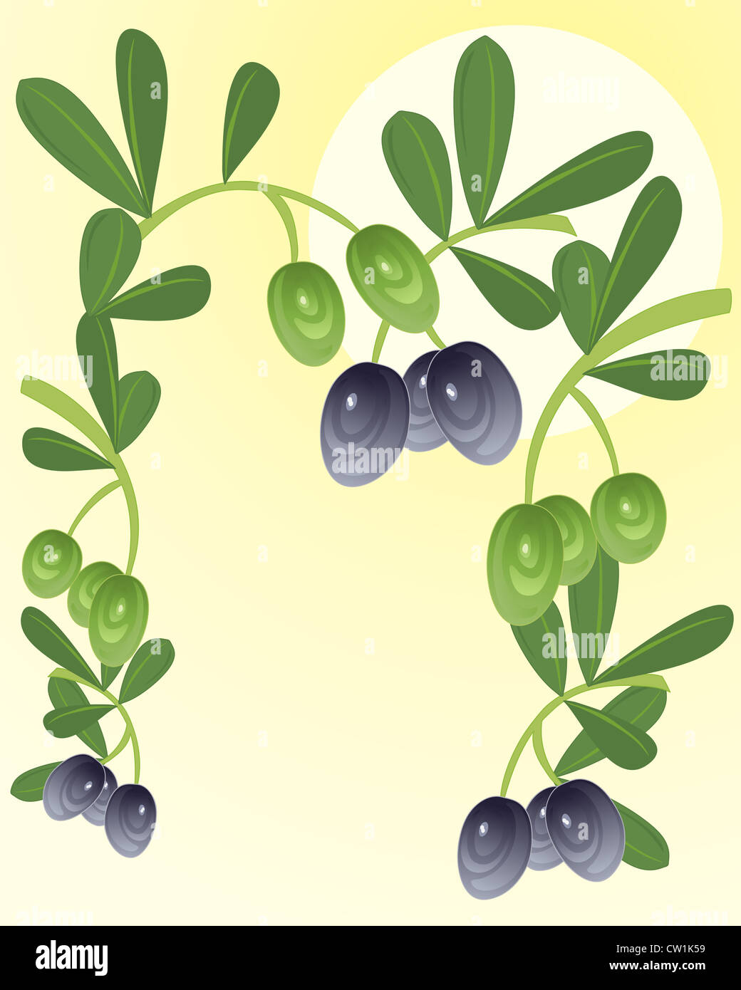 an illustration of an abstract olive design with branches leaves and ...