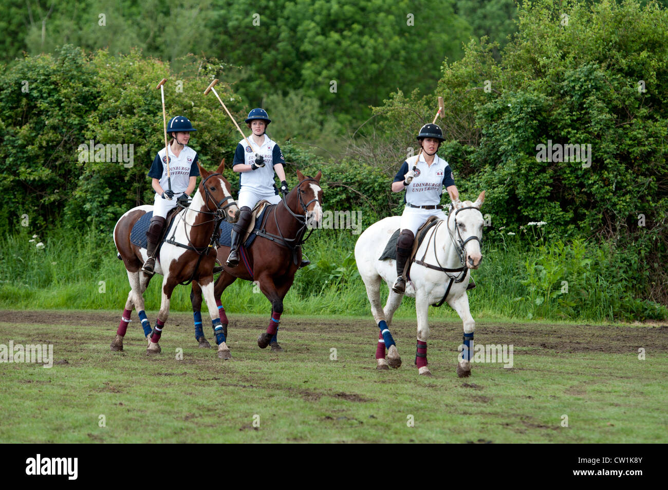 Girl students riding different coloured polo ponies Stock Photo - Alamy