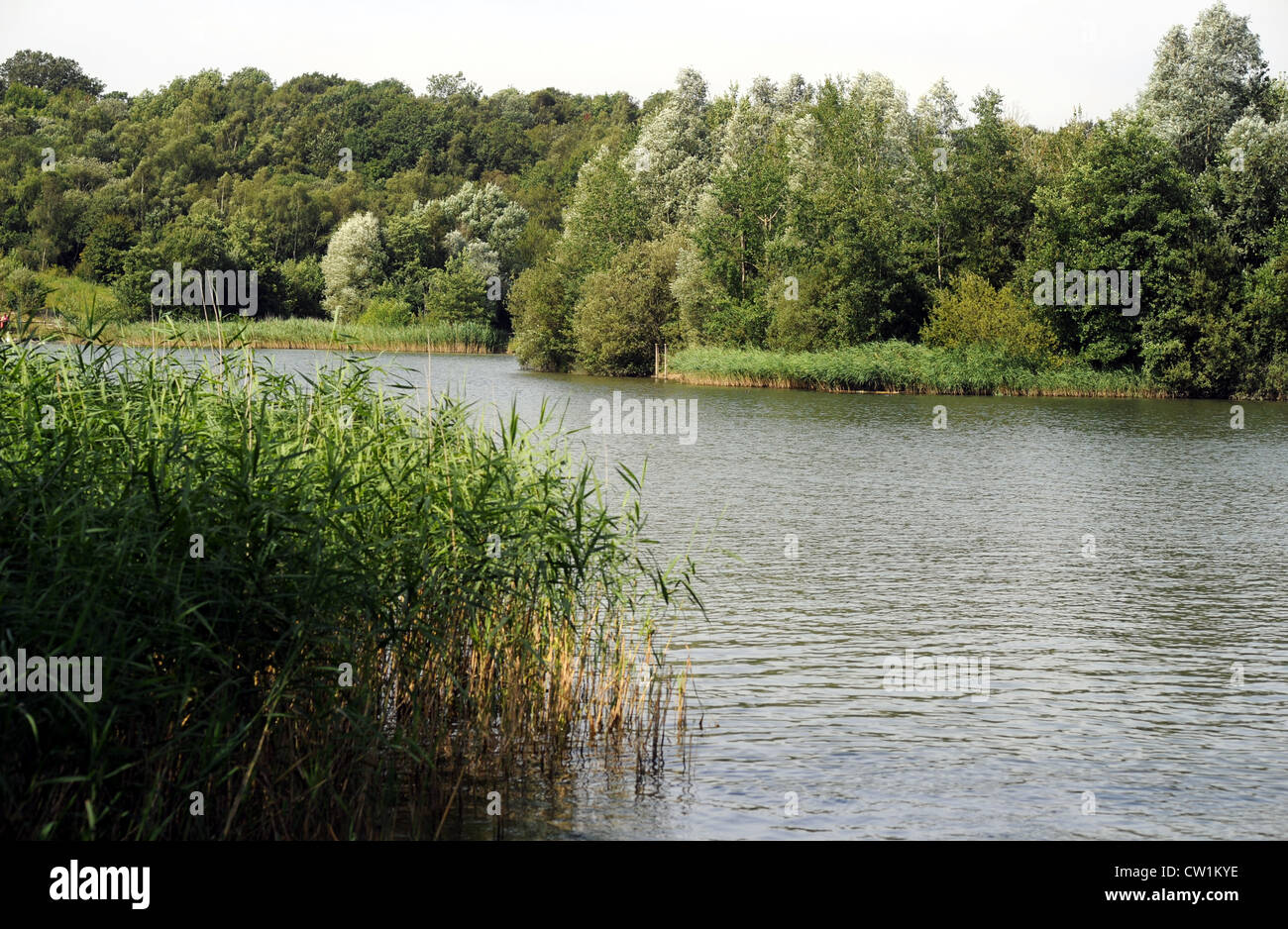 Southwater Country Park And Watersports Activity Centre Near Horsham southwater-country-park-and-watersports-activity-centre-near-horsham