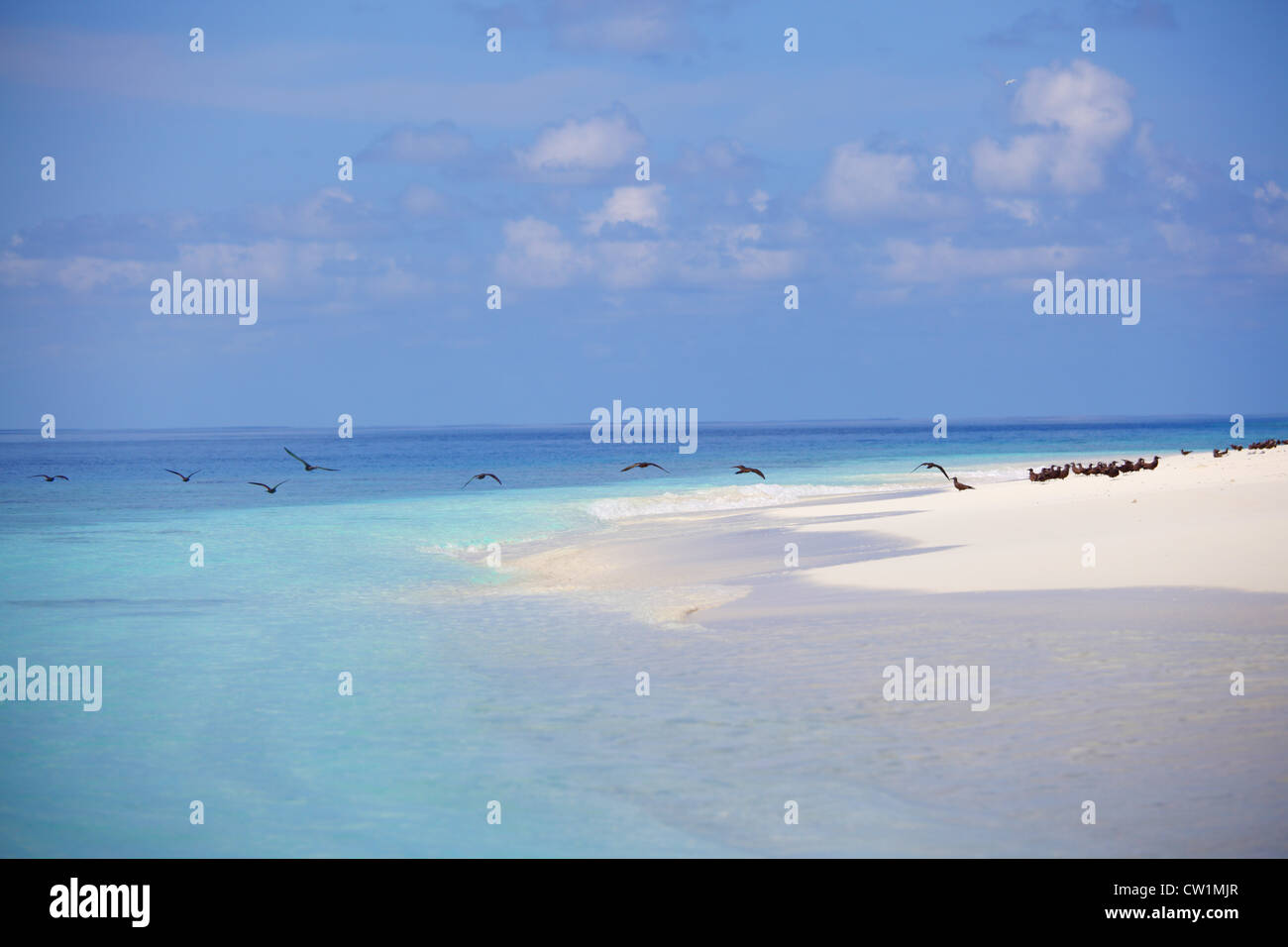 sea landscape blue water and reef Stock Photo - Alamy