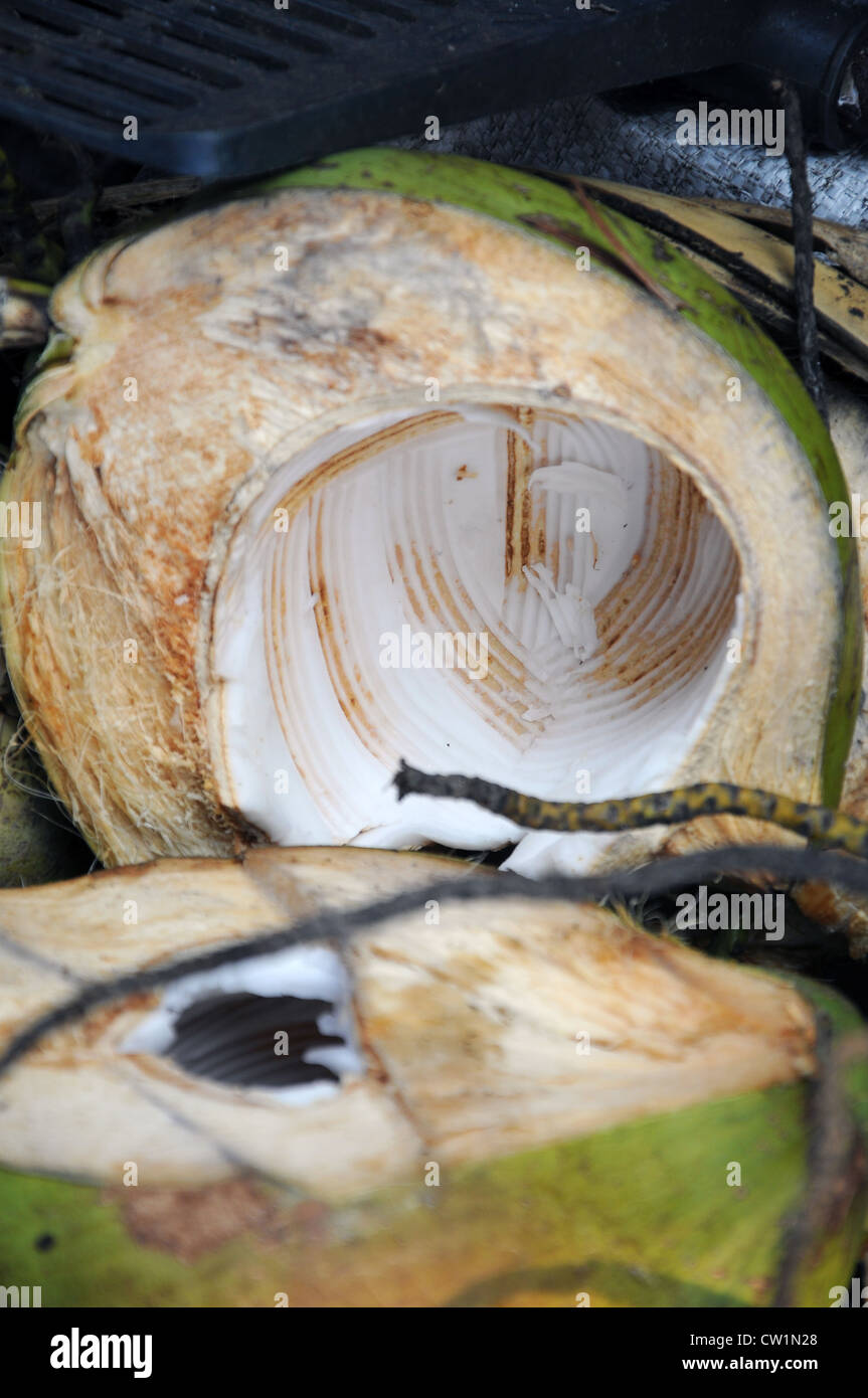Coconut fruit in the mall and take the contents Stock Photo - Alamy