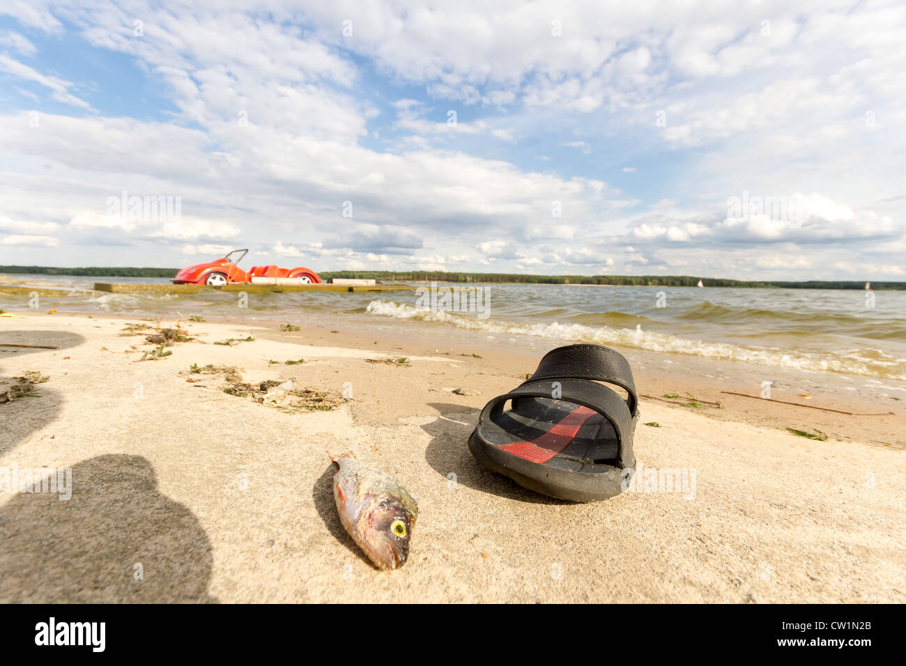 wild fish in lake, nature series Stock Photo - Alamy