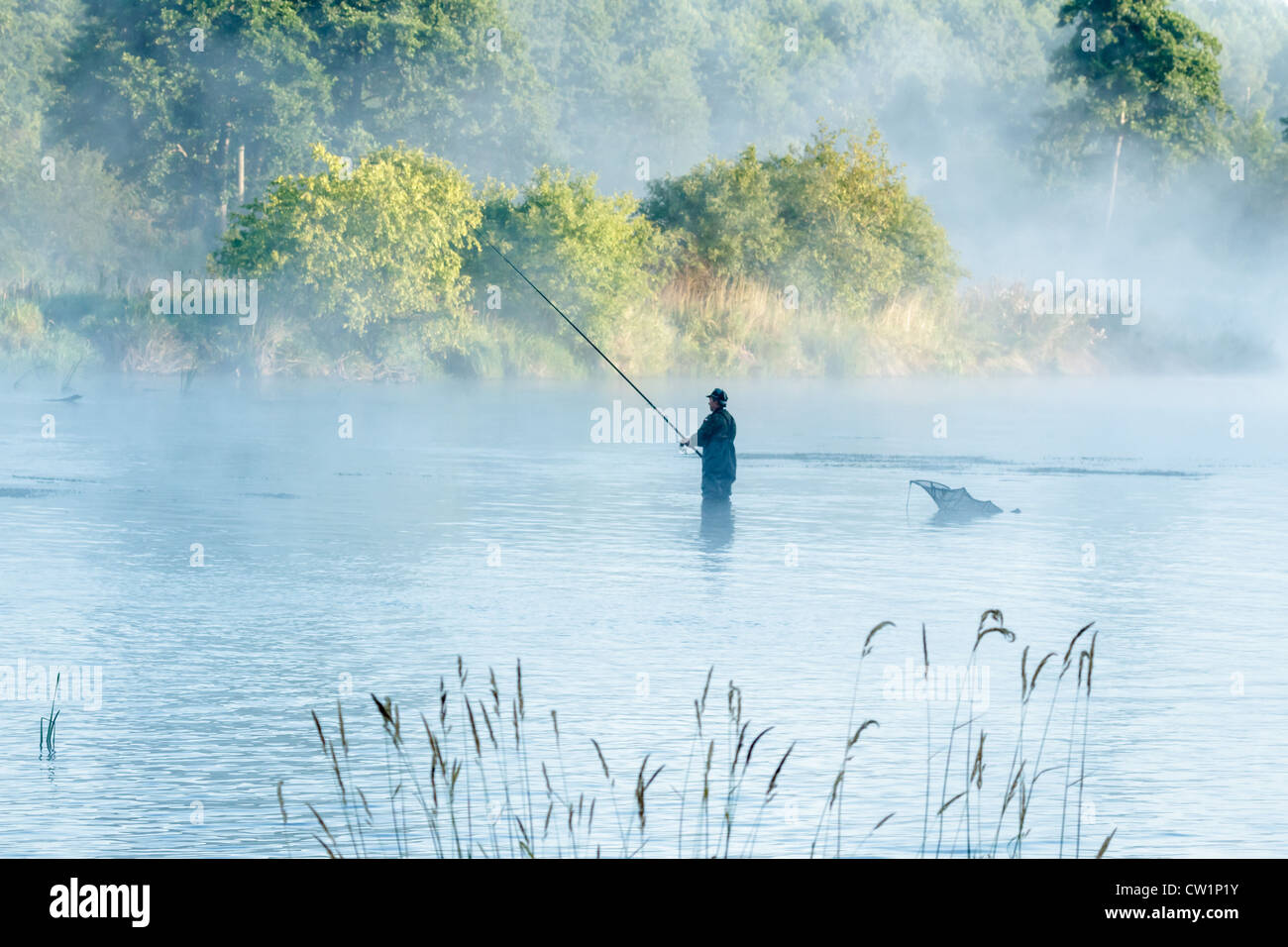 fishing, fishing in a lake, nature series Stock Photo - Alamy