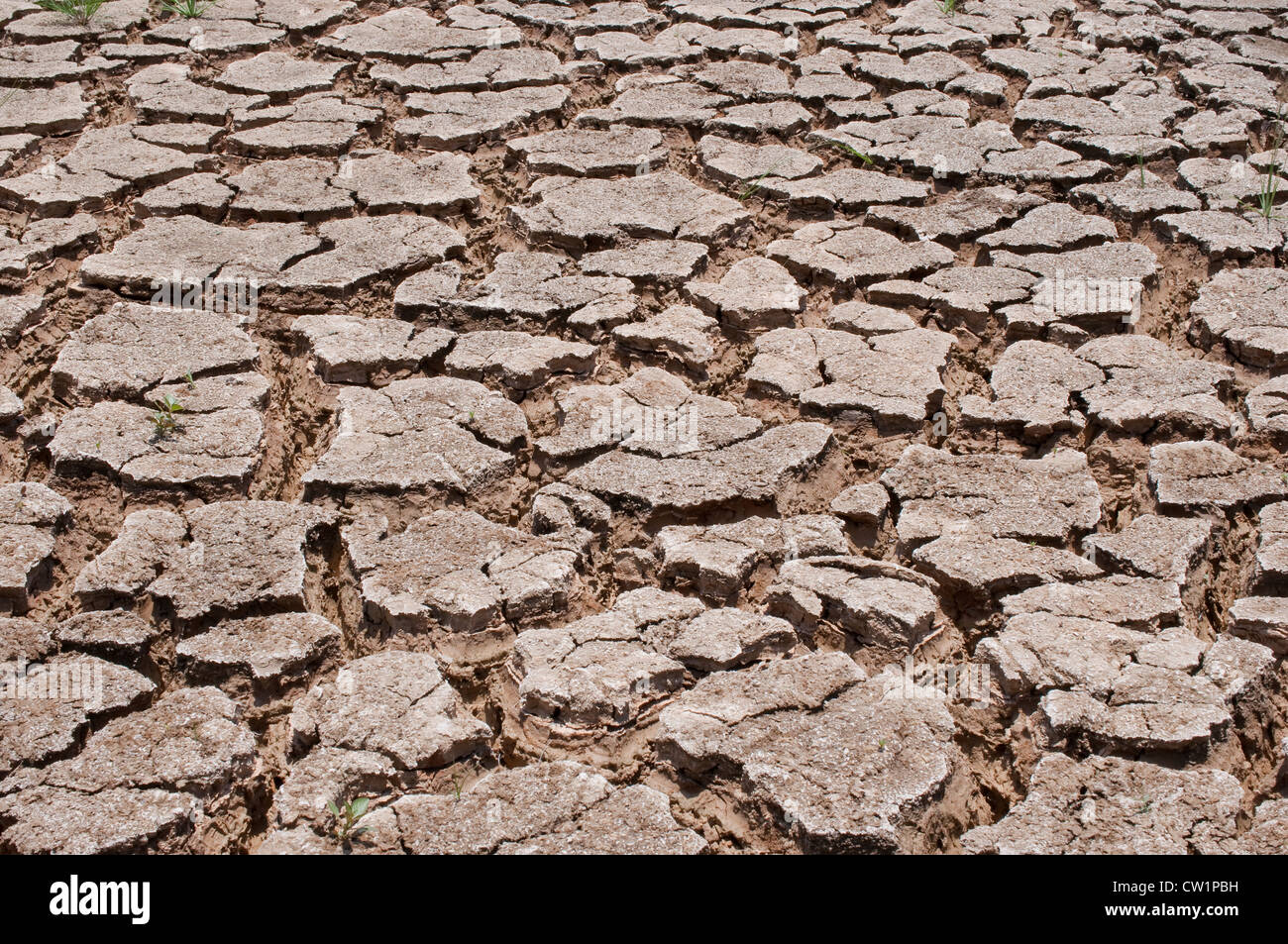 dry earth in the dry season in Thailand Stock Photo - Alamy