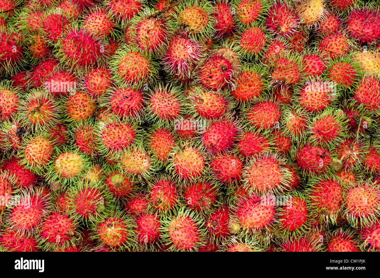 Rambutan pack hi-res stock photography and images - Alamy