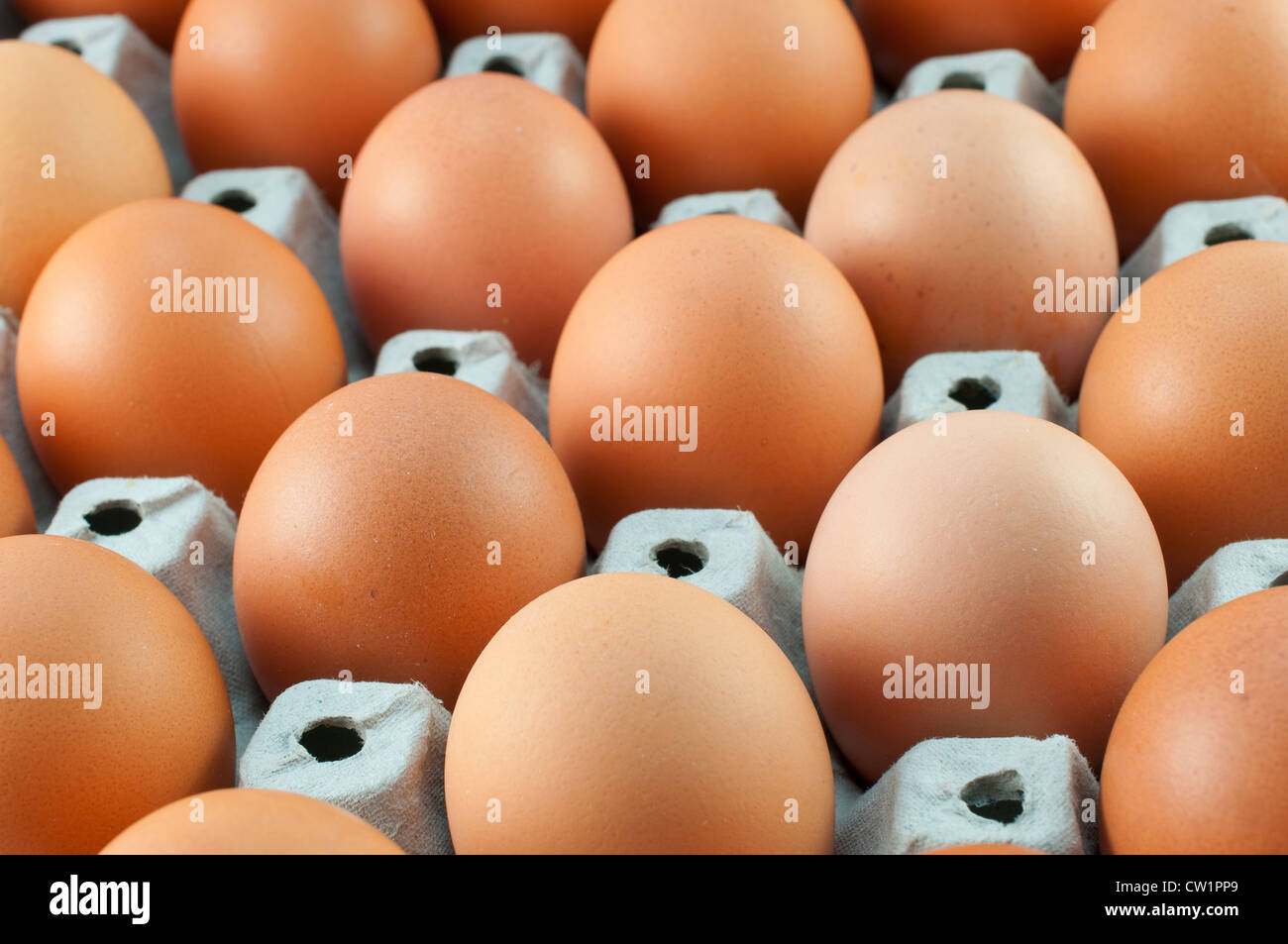 Closed carton egg box hi-res stock photography and images - Alamy