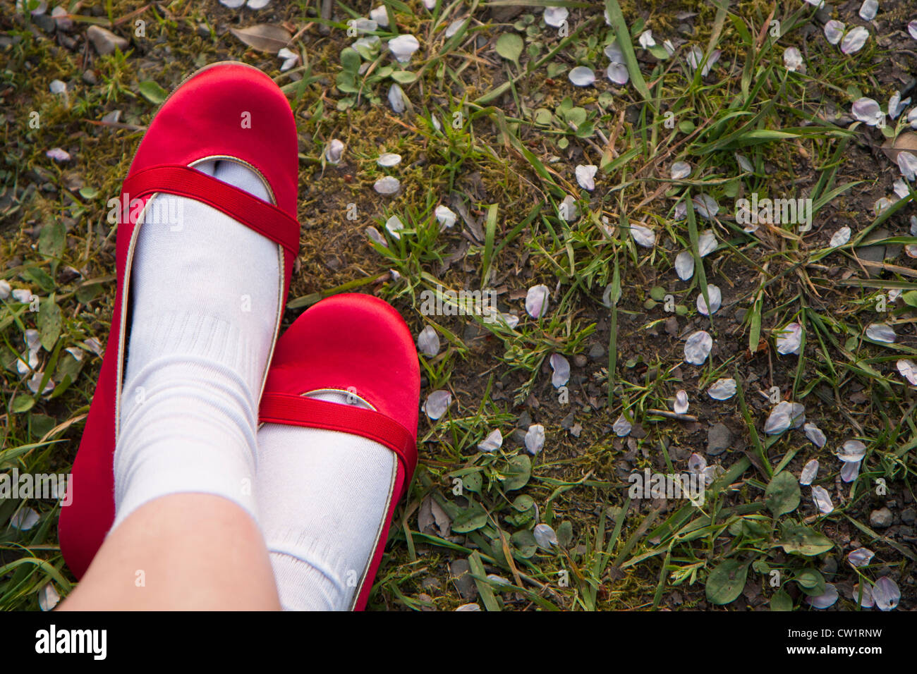 Red Shoes and Fallen Cherry Blossom Stock Photo - Alamy