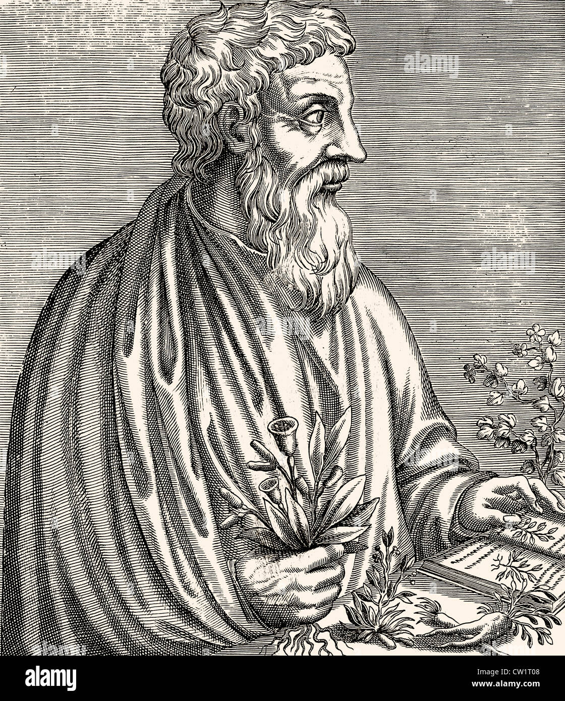 Pedanios Dioscorides from Anazarba in Cilicia Stock Photo - Alamy