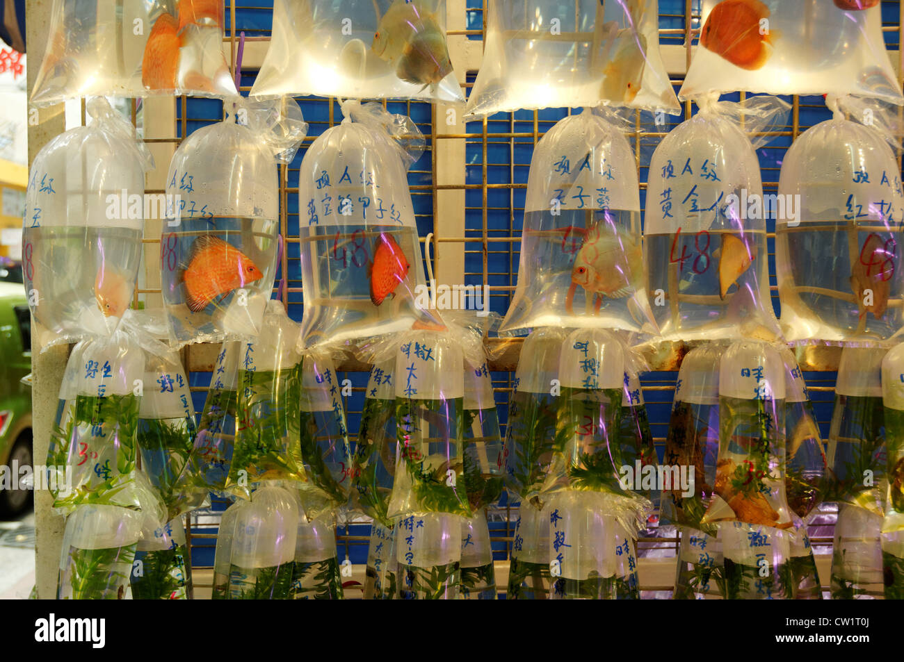 Bags of fish hi-res stock photography and images - Alamy