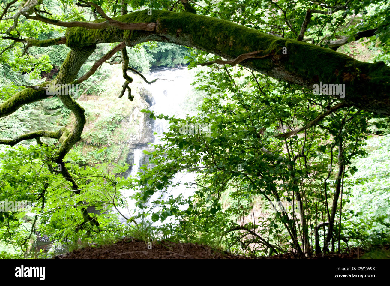 Reekie Linn Waterfall Stock Photo - Alamy
