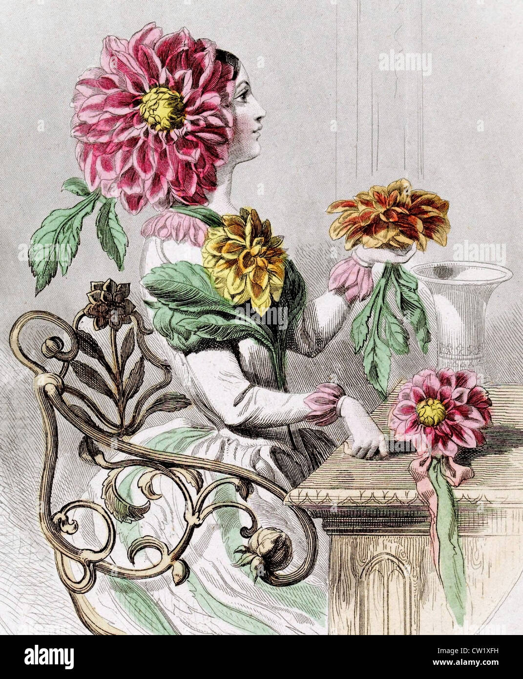 Dahlia flower language hi-res stock photography and images - Alamy