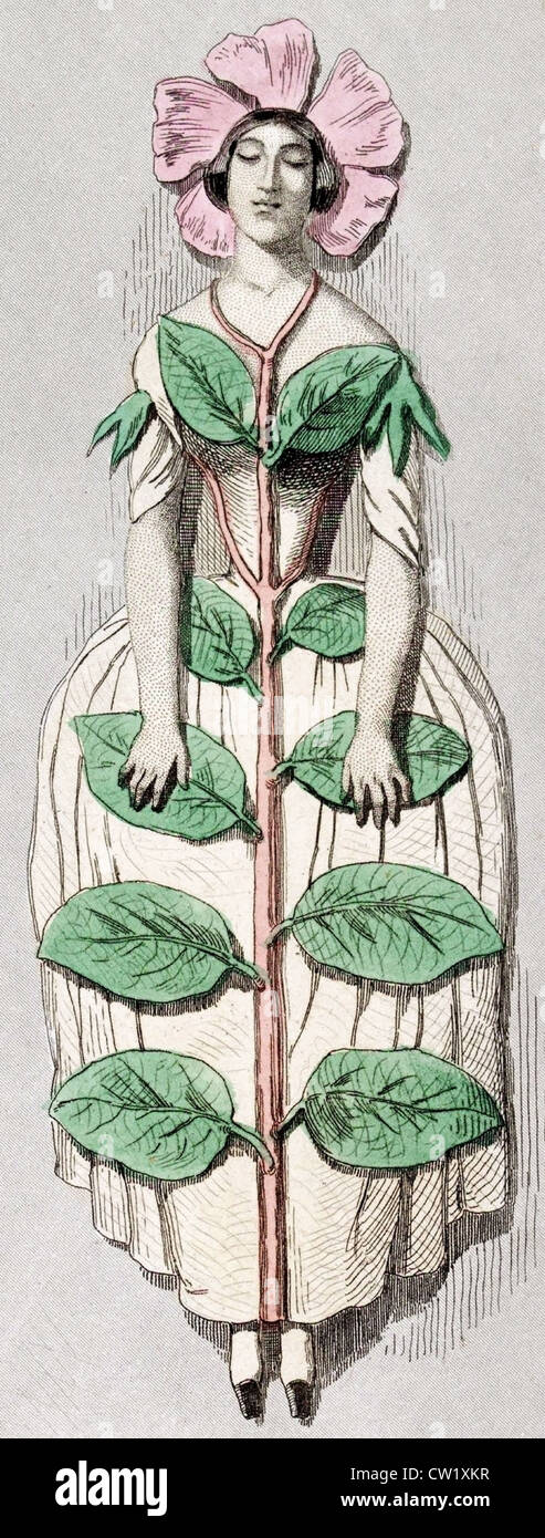 Evergreen characteristics hi-res stock photography and images - Alamy