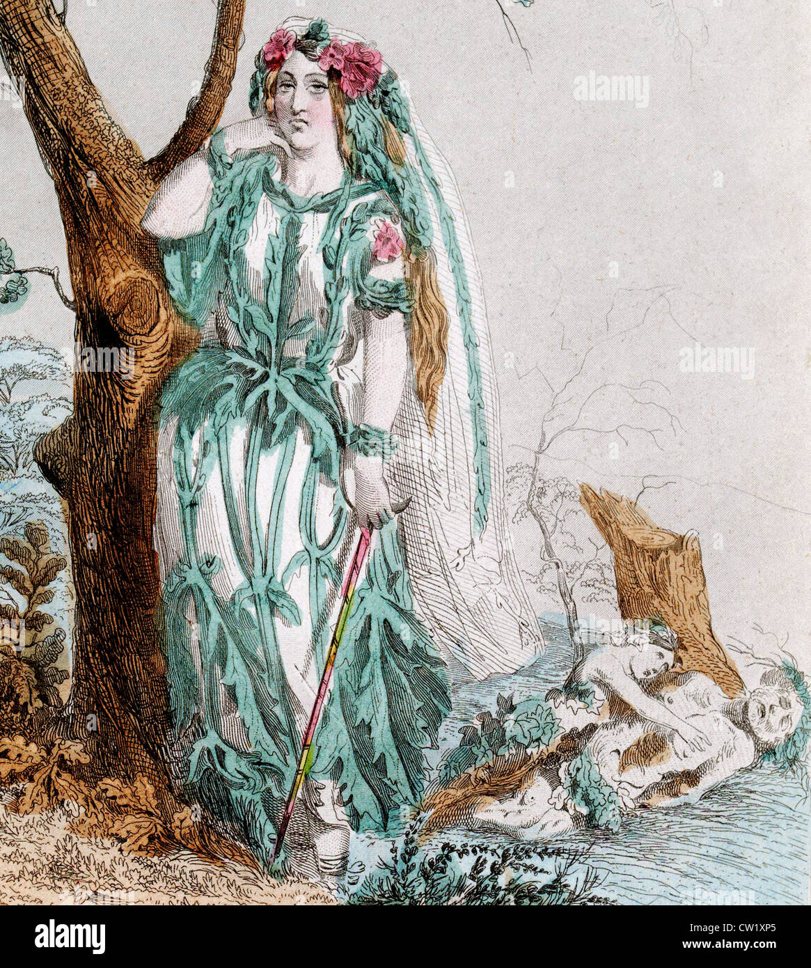 Verbena flower woman hi-res stock photography and images - Alamy