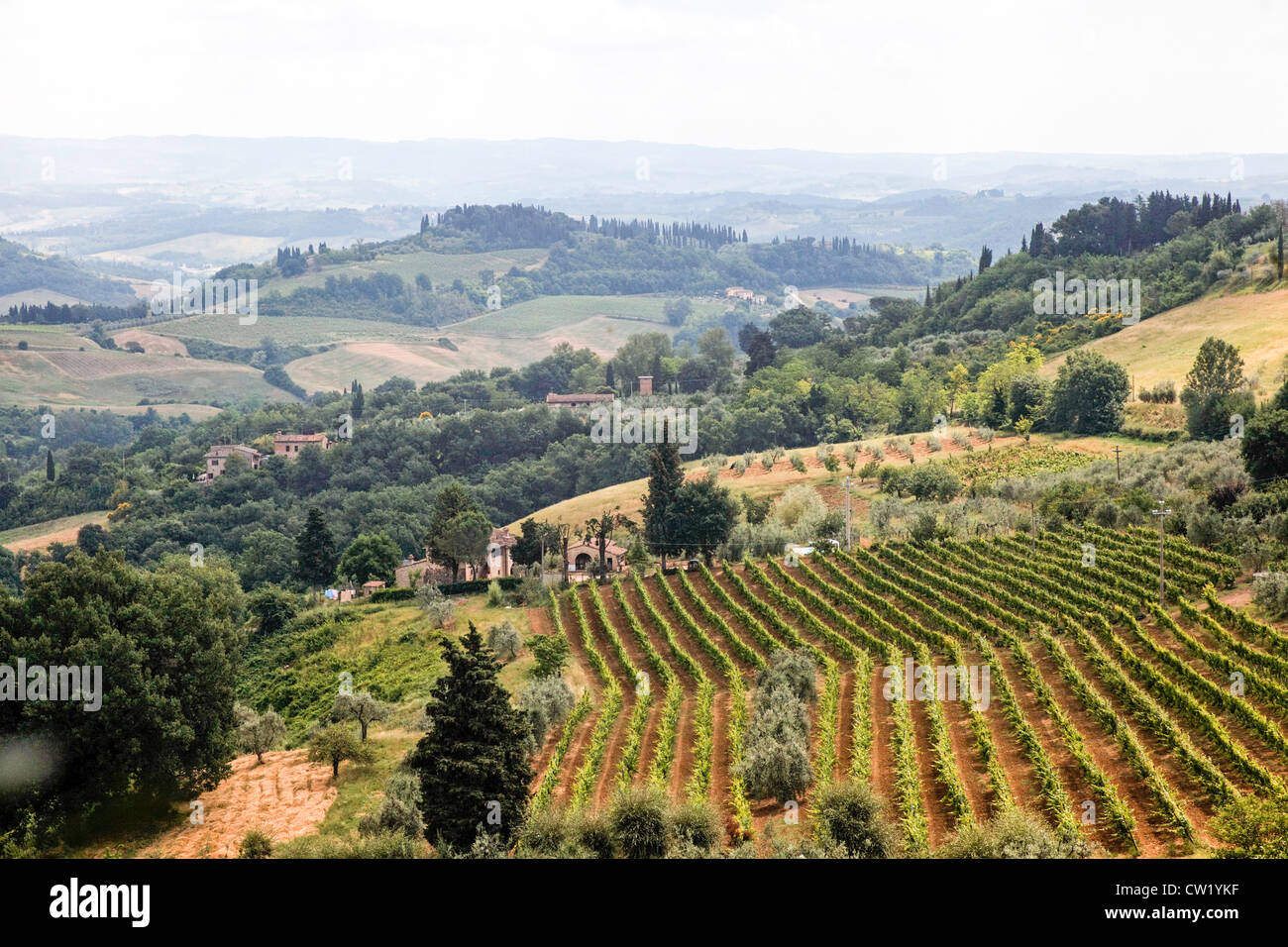 Italy, Tuscany, rural landscape Stock Photo - Alamy