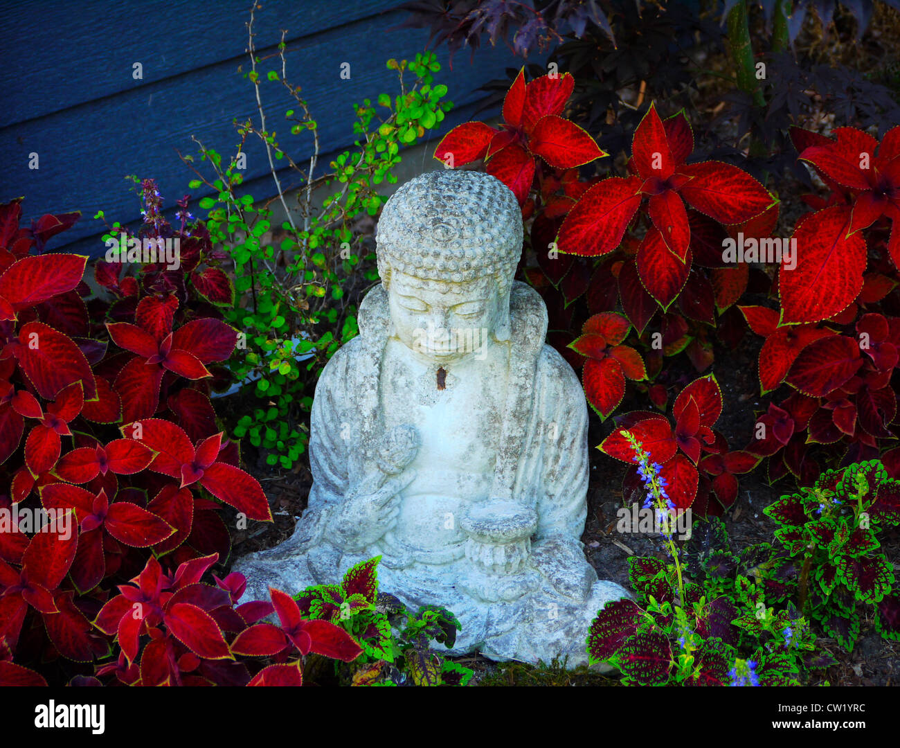 Buddha statue in red leaf garden Stock Photo - Alamy