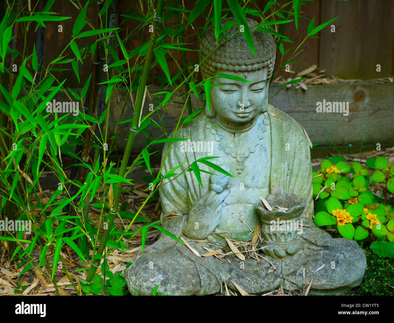 Bamboo buddha hi-res stock photography and images - Alamy