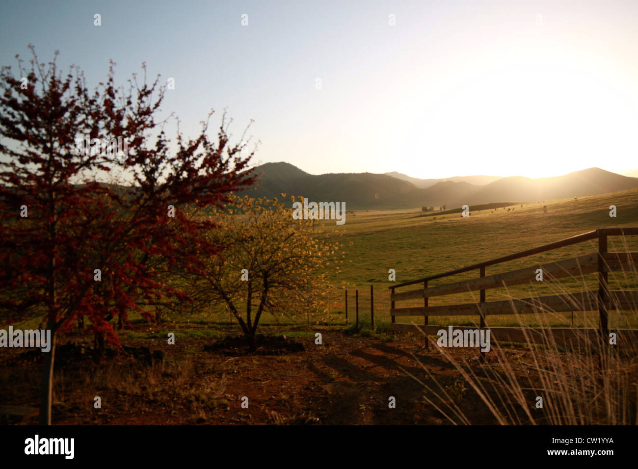 Easter sunrise over mountain with field and trees, Strathmore, CA Stock ...