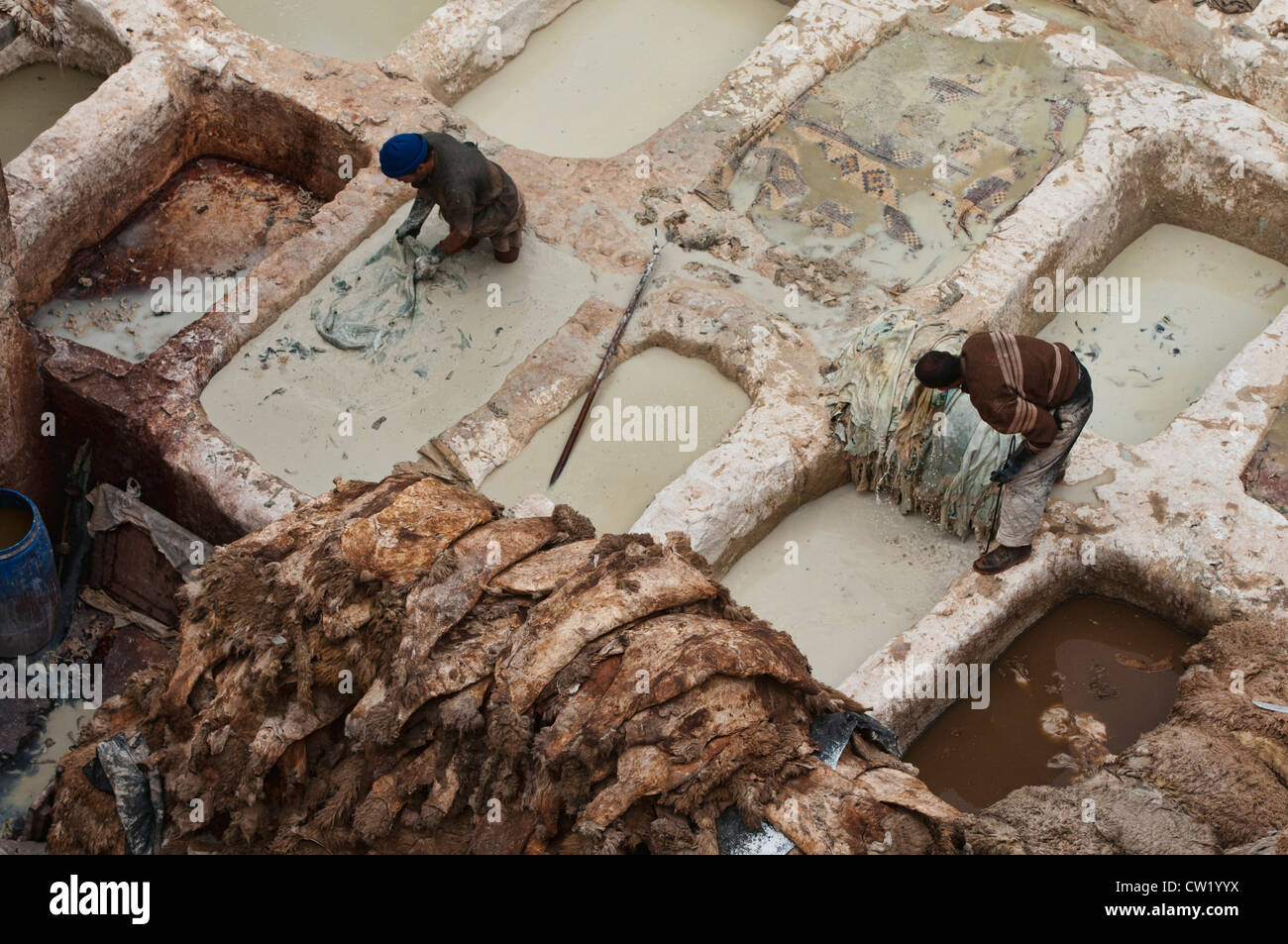 workers in the thousand year old leather tannery in the ancient medina ...