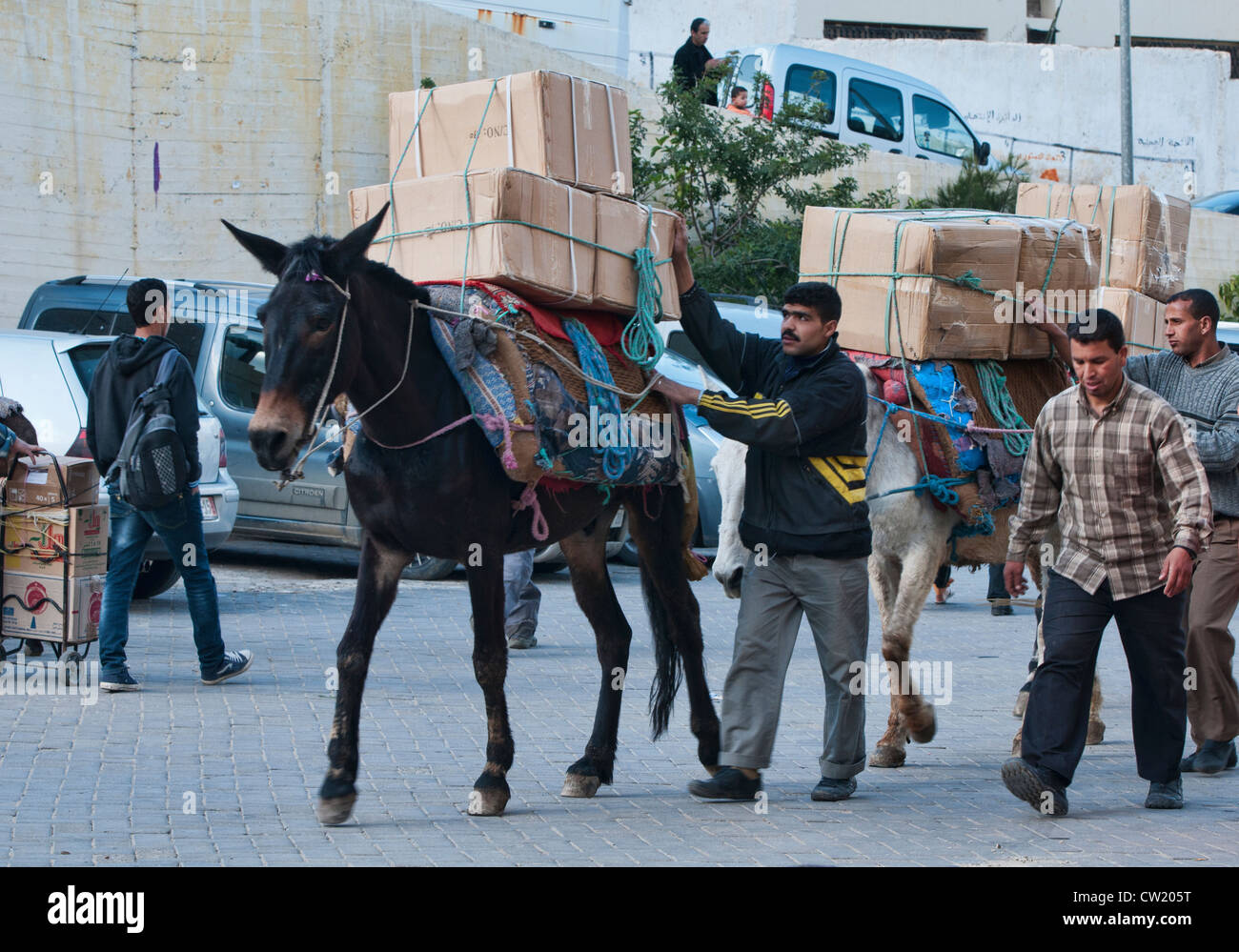 loaded donkeys heading into the medina in ancient Fes, Morocco Stock ...