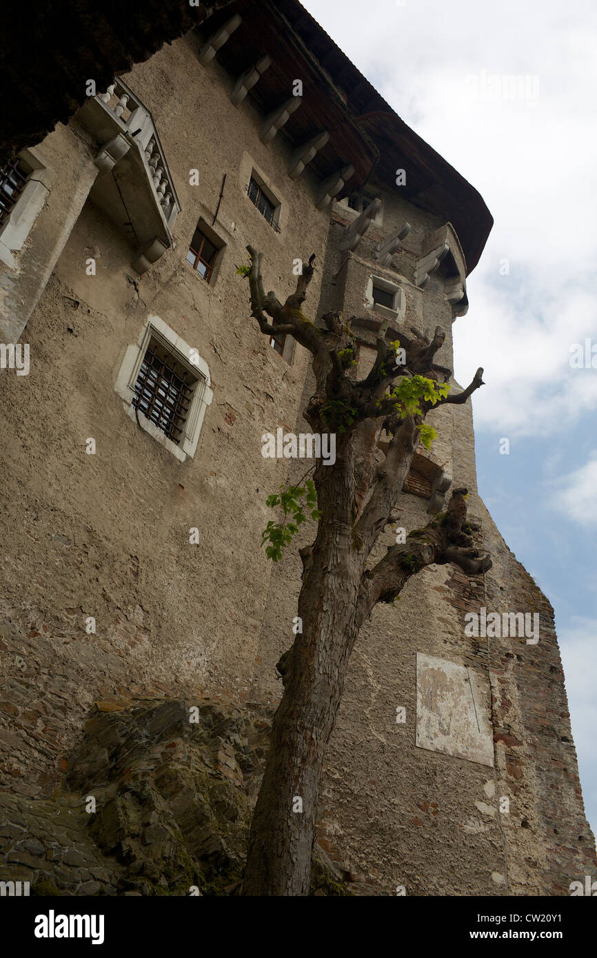 Impregnation hi-res stock photography and images - Alamy