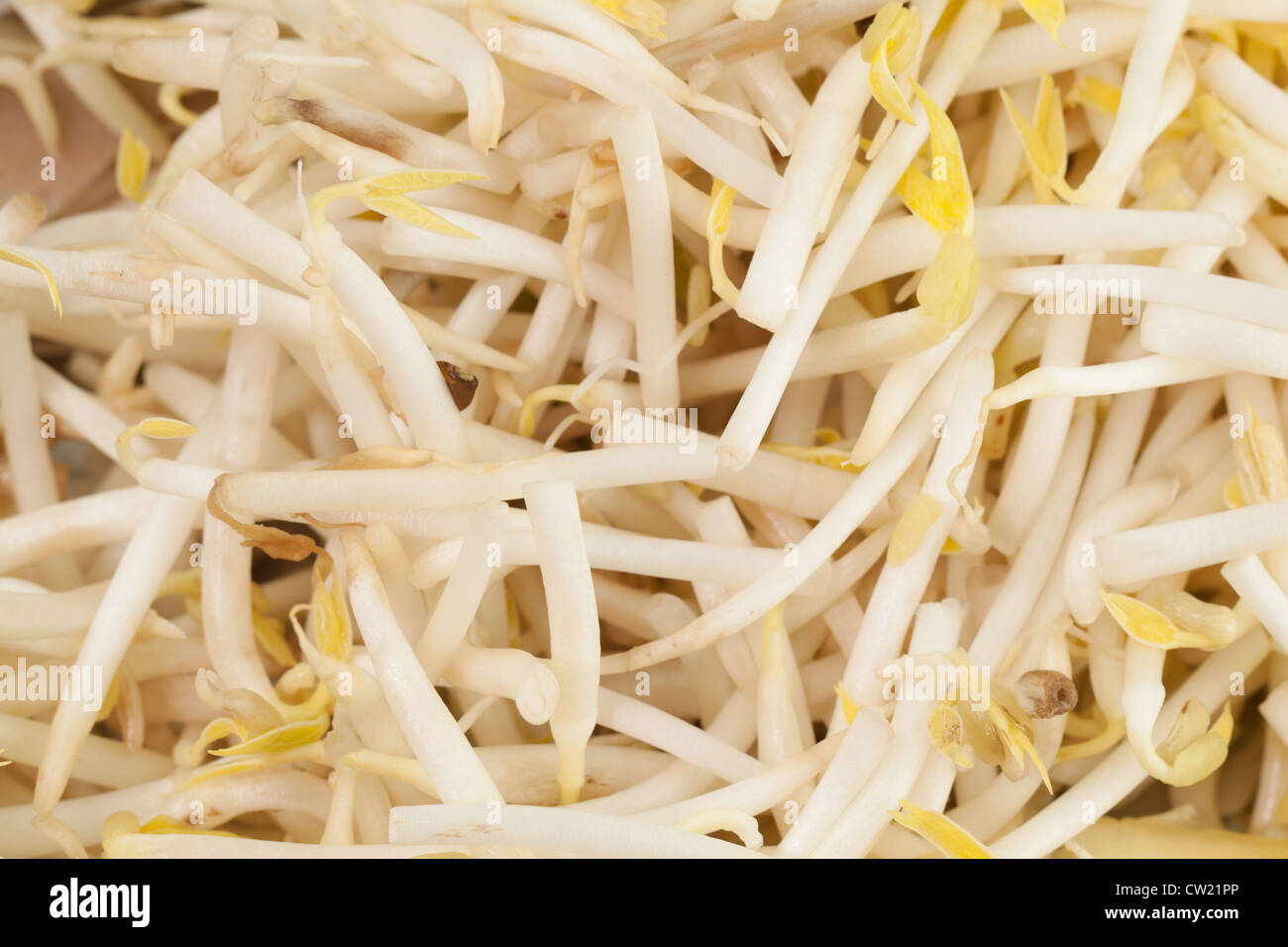 Asian bean hi-res stock photography and images - Alamy