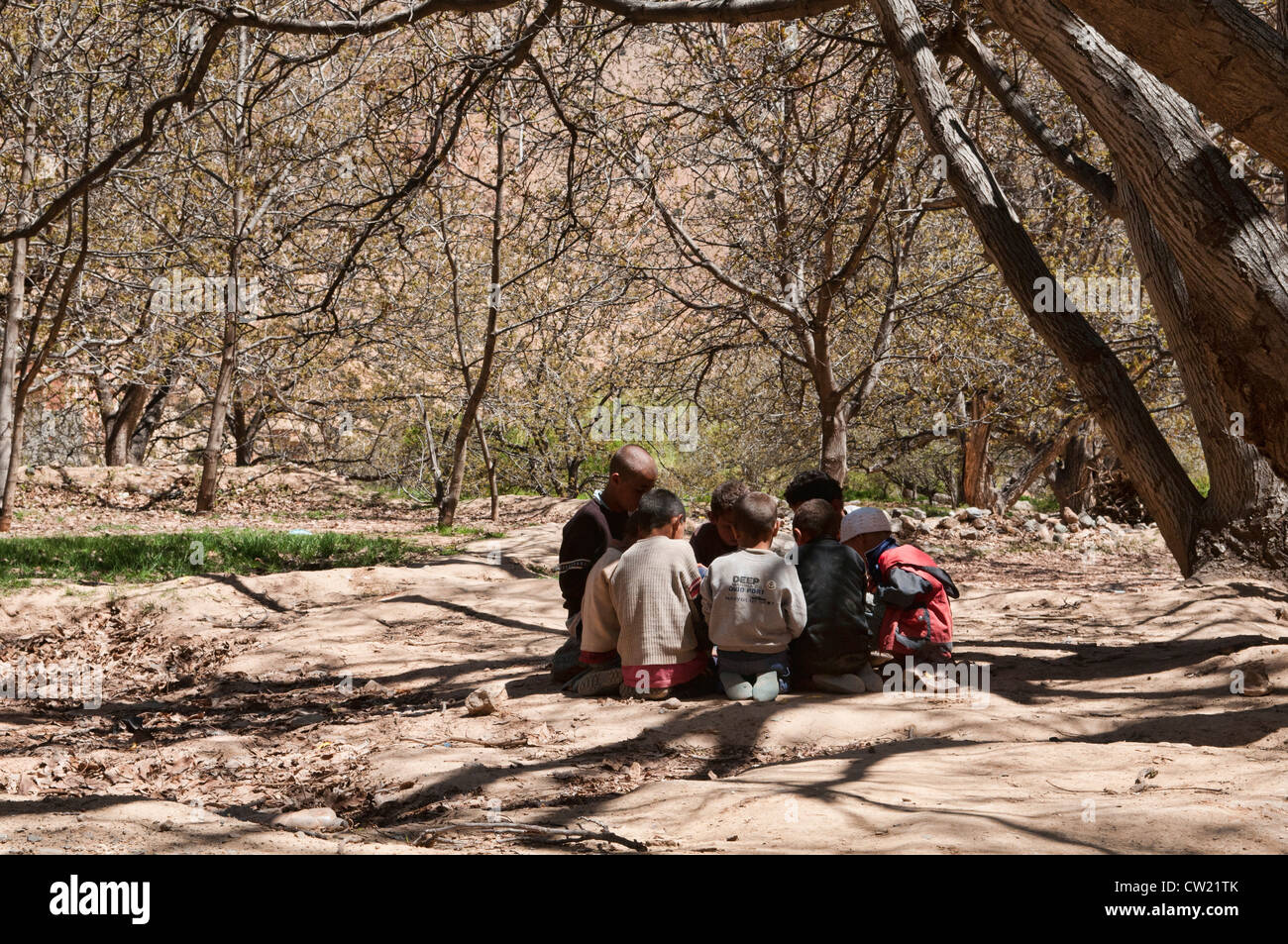 Berber boys in the forest in the Southern Atlas Mountains, Morocco ...