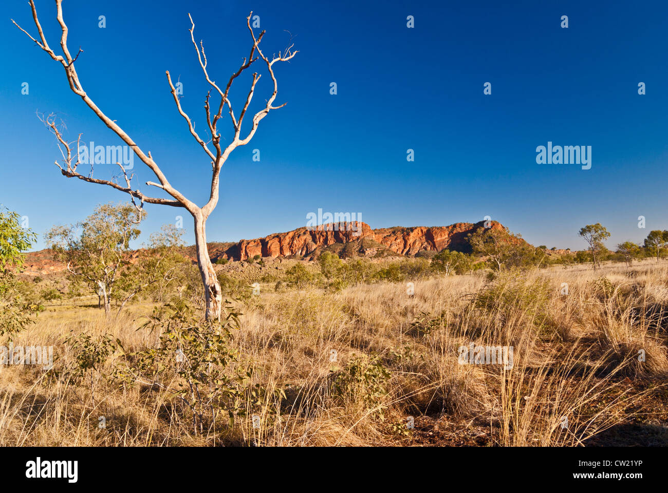 BUNGLE BUNGLE RANGE, PURNULULU NATIONAL PARK, WESTERN AUSTRALIA ...