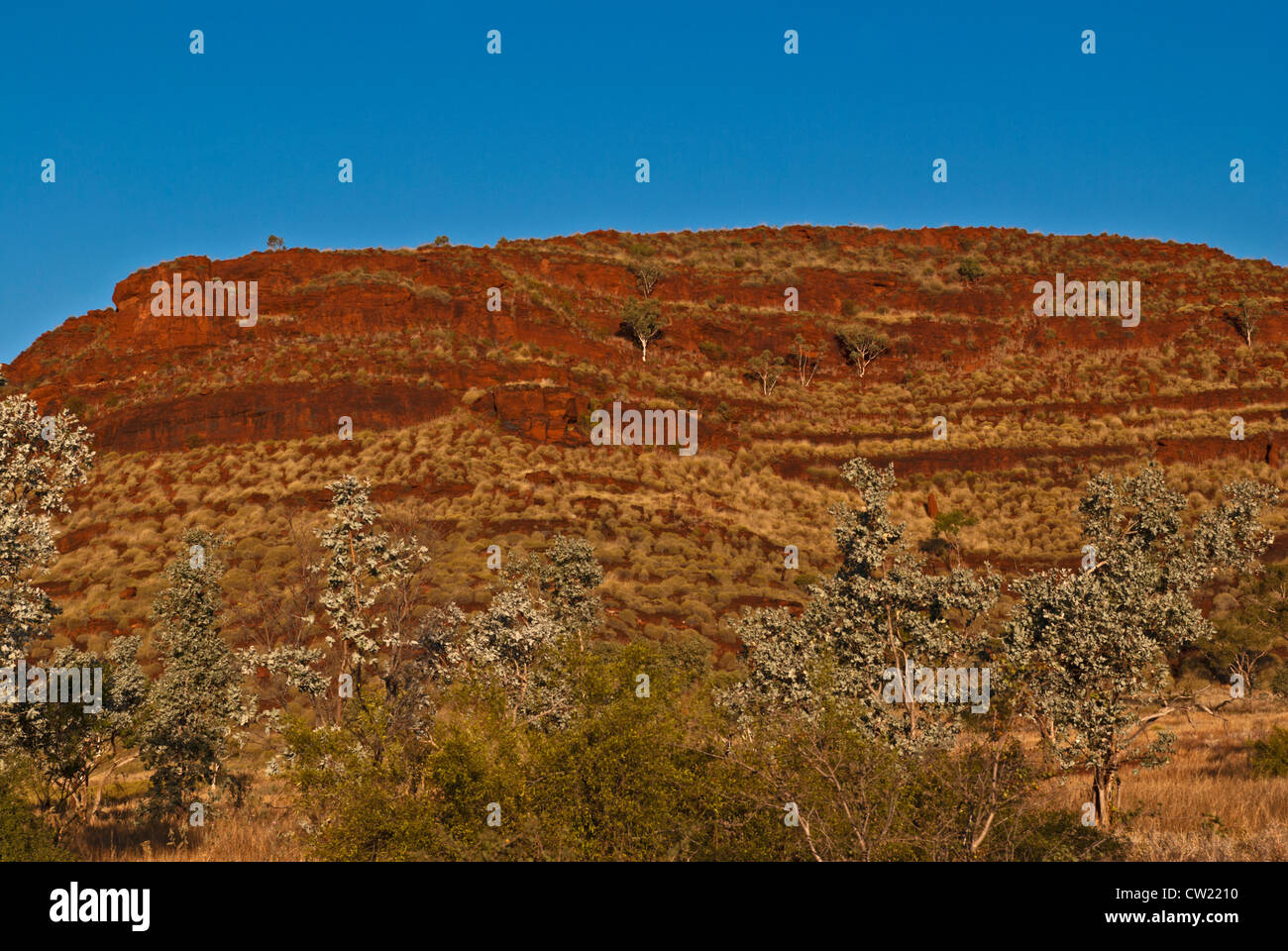 BUNGLE BUNGLE RANGE, PURNULULU NATIONAL PARK, WESTERN AUSTRALIA ...