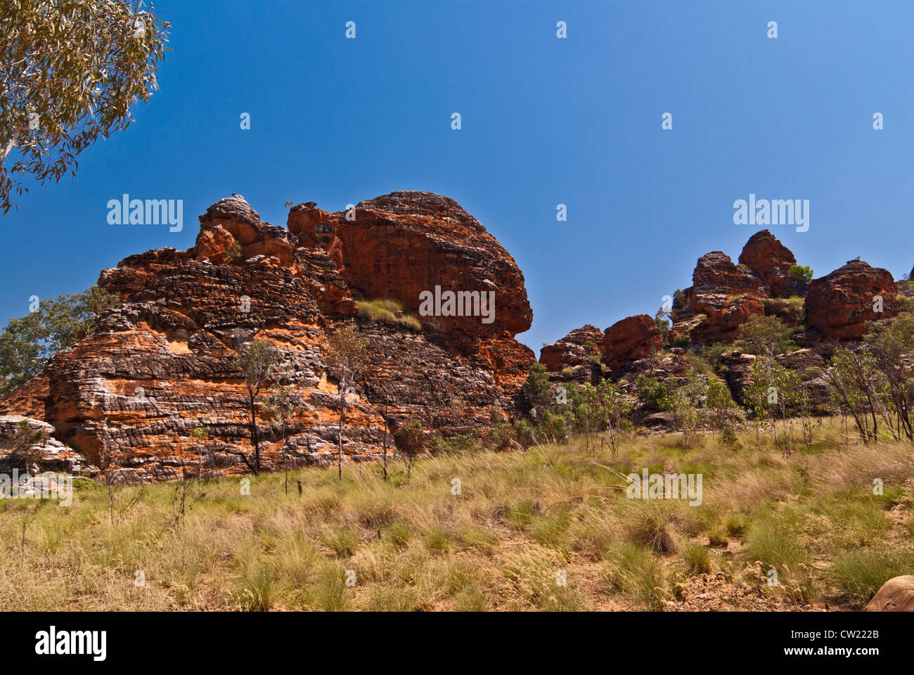 BUNGLE BUNGLE RANGE, PURNULULU NATIONAL PARK, WESTERN AUSTRALIA ...
