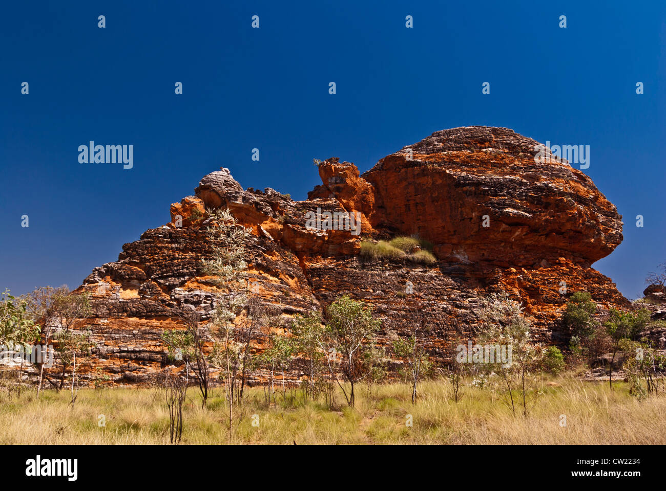 BUNGLE BUNGLE RANGE, PURNULULU NATIONAL PARK, WESTERN AUSTRALIA ...
