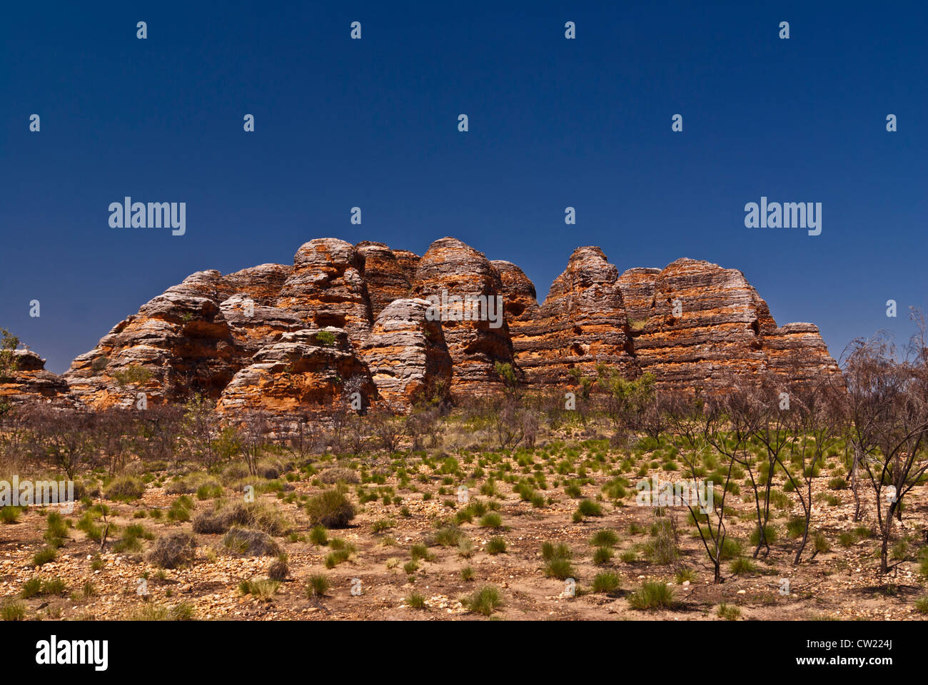 BUNGLE BUNGLE RANGE, PURNULULU NATIONAL PARK, WESTERN AUSTRALIA ...